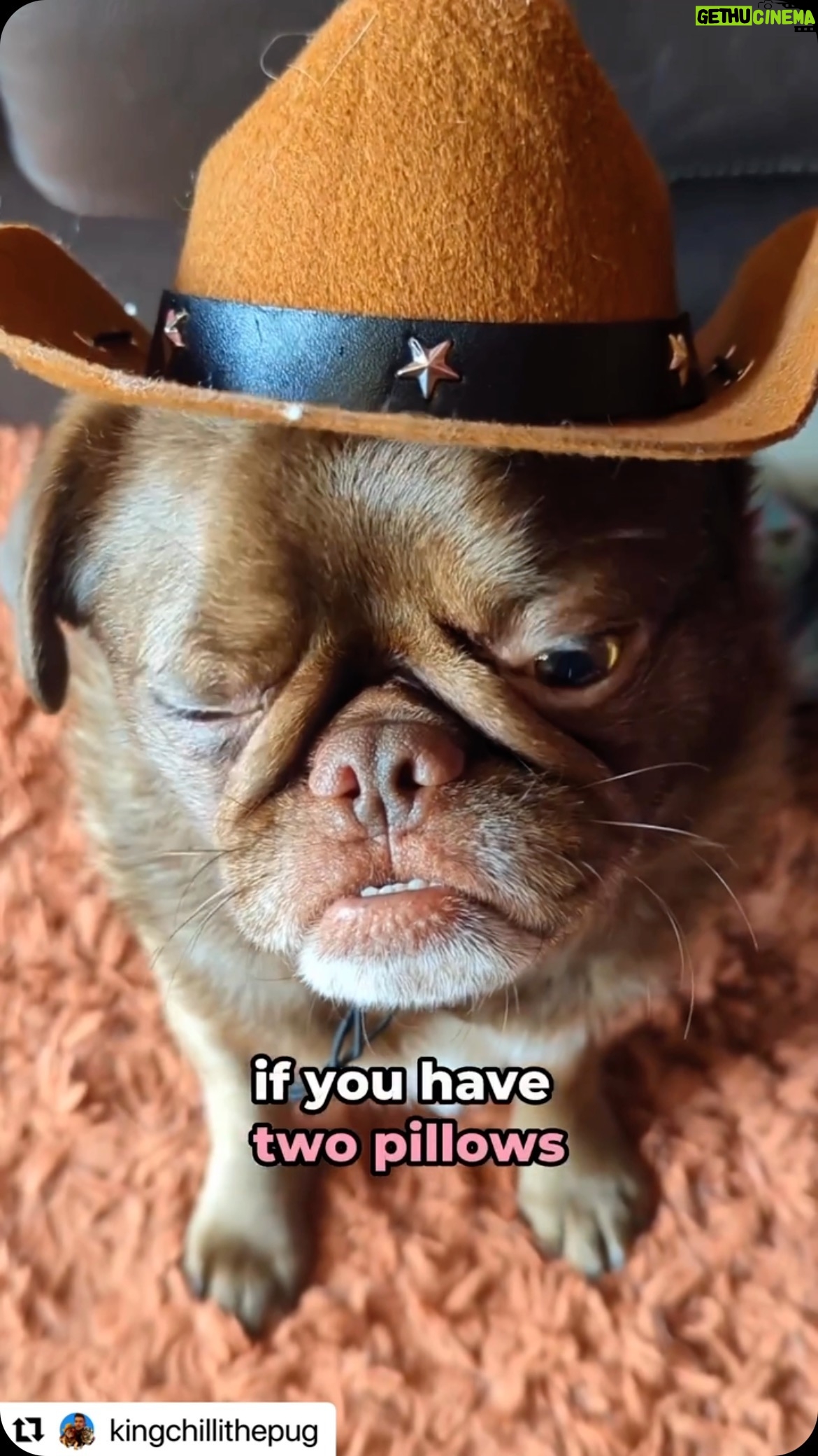 Juliette Lewis Instagram – RP @kingchillithepug | Gethu Cinema