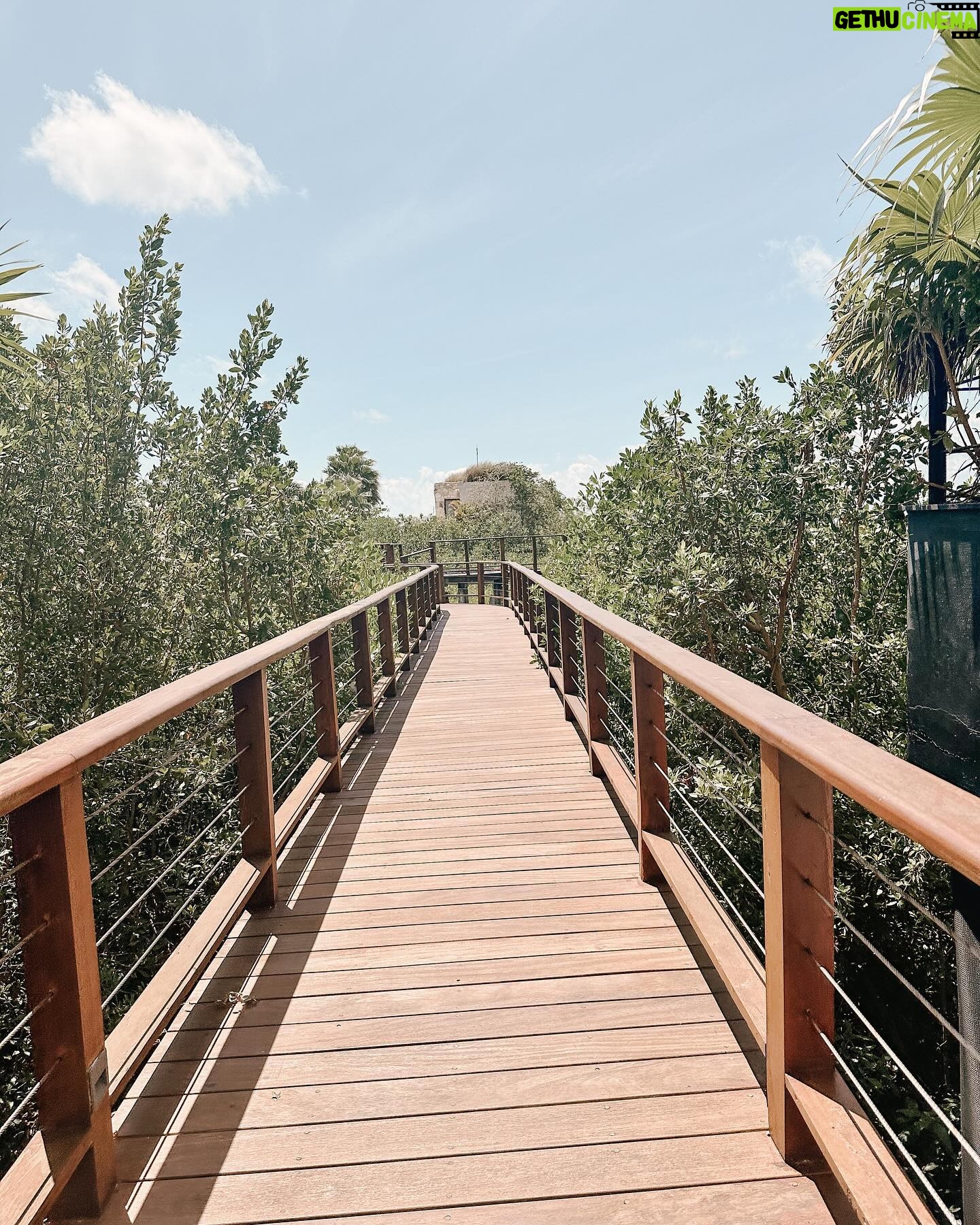 Maren Morris Instagram – fighting the urge to caption “tan everywhere ...