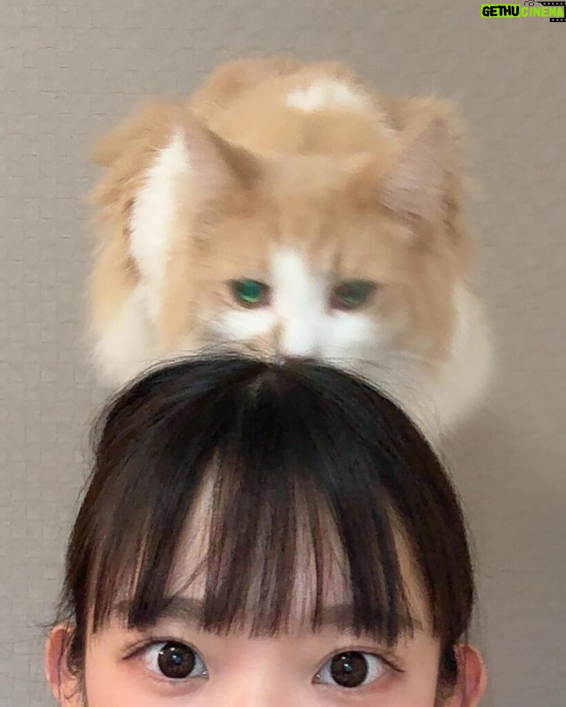 Actress Marina Nagasawa HD Instagram Photos and Wallpapers May 2024 ...