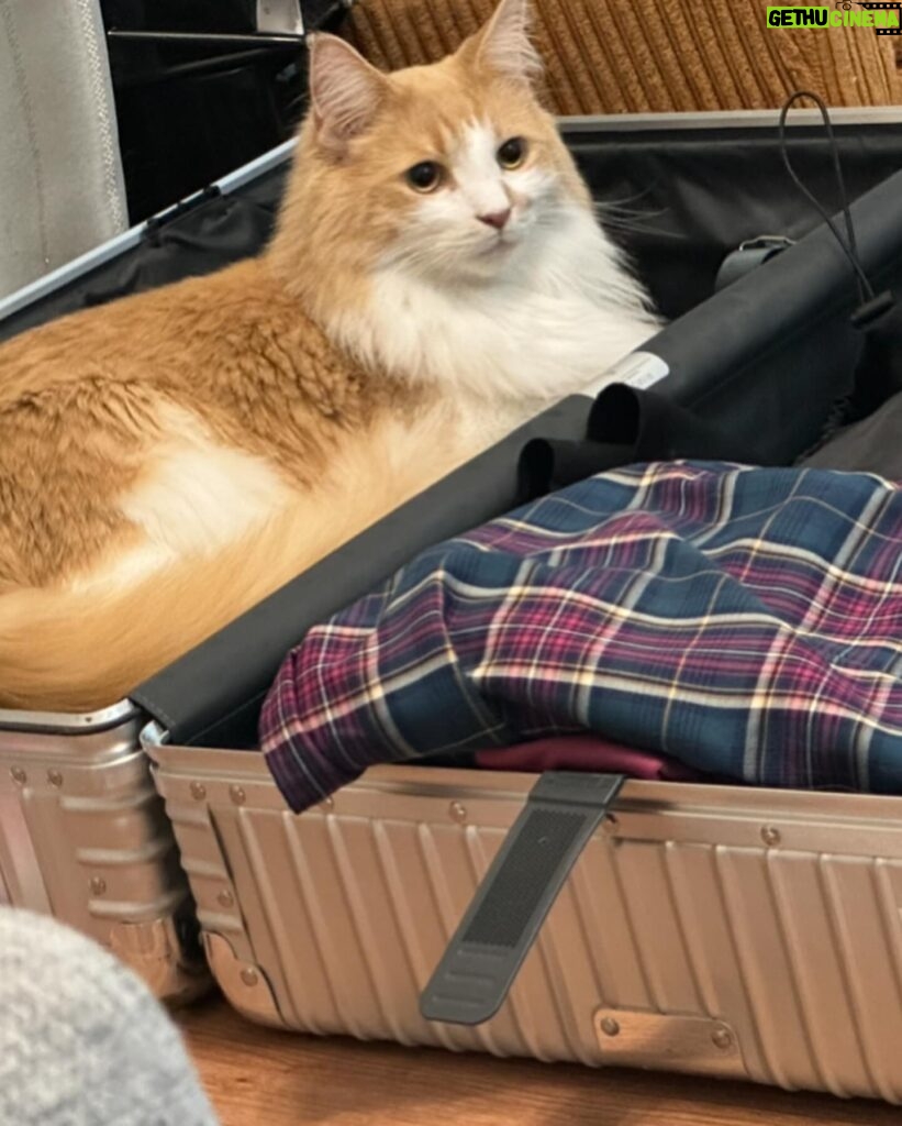 Actress Marina Nagasawa HD Instagram Photos and Wallpapers May 2024 ...