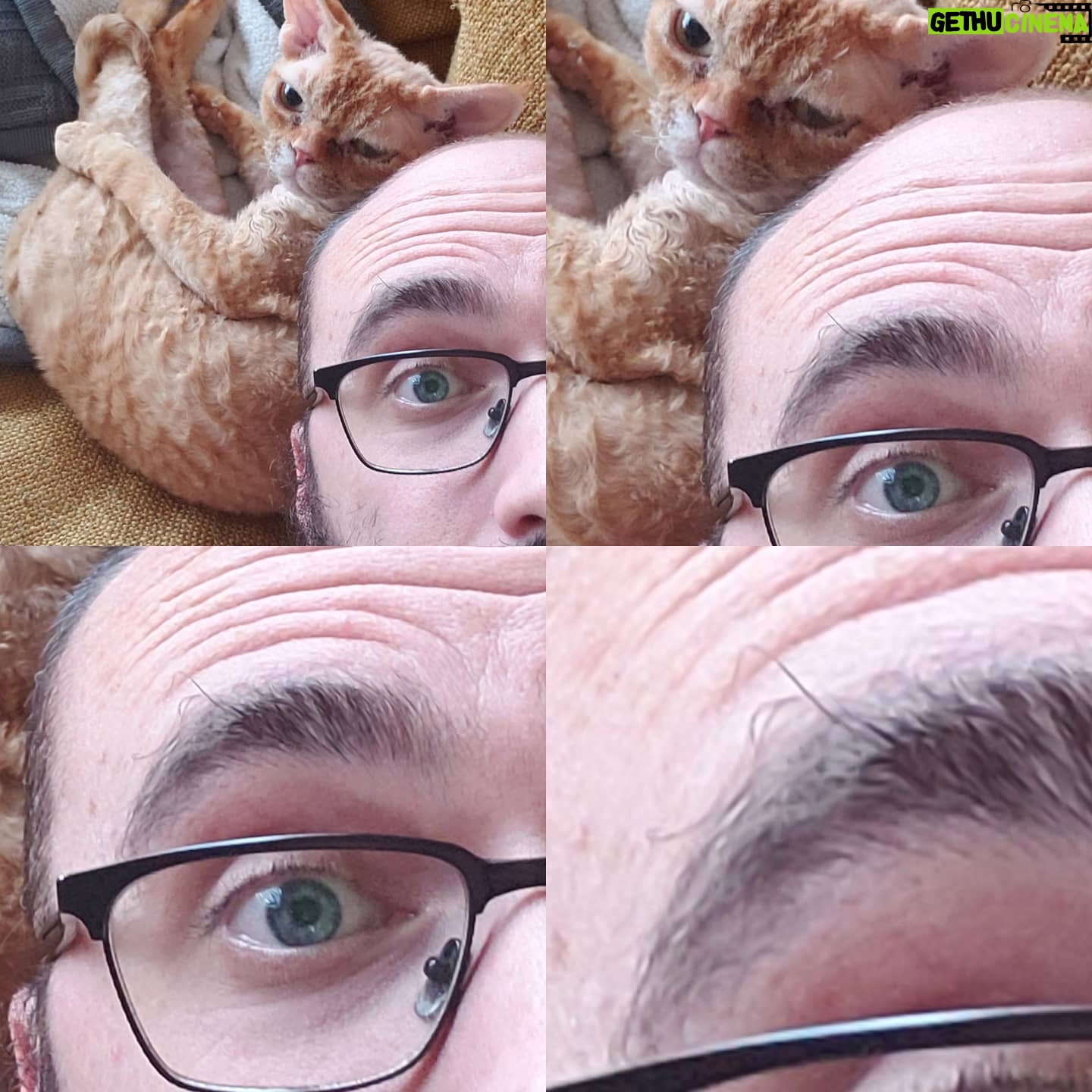 Michael Stevens Instagram – my #eyebrow is crawling away | Gethu Cinema