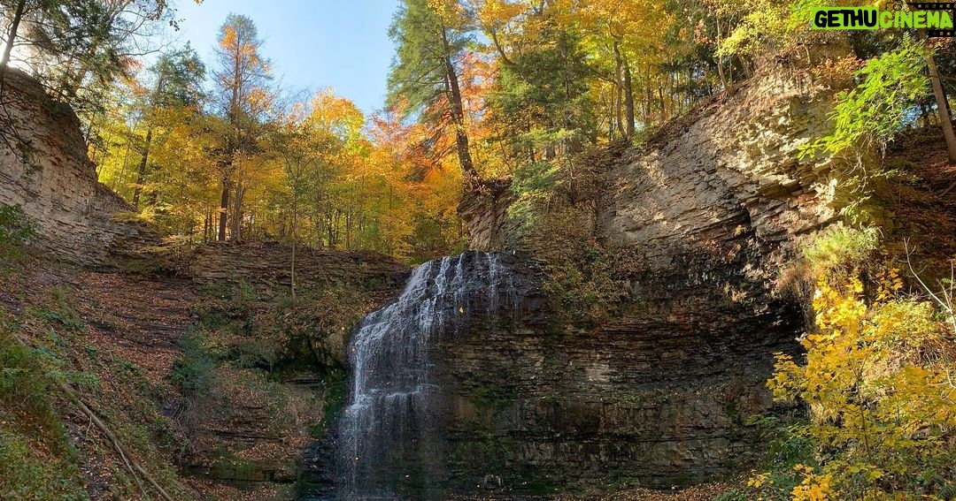 Minka Kelly Instagram – almost forgot how beautiful you are 🍁🍂🧡 Toronto ...