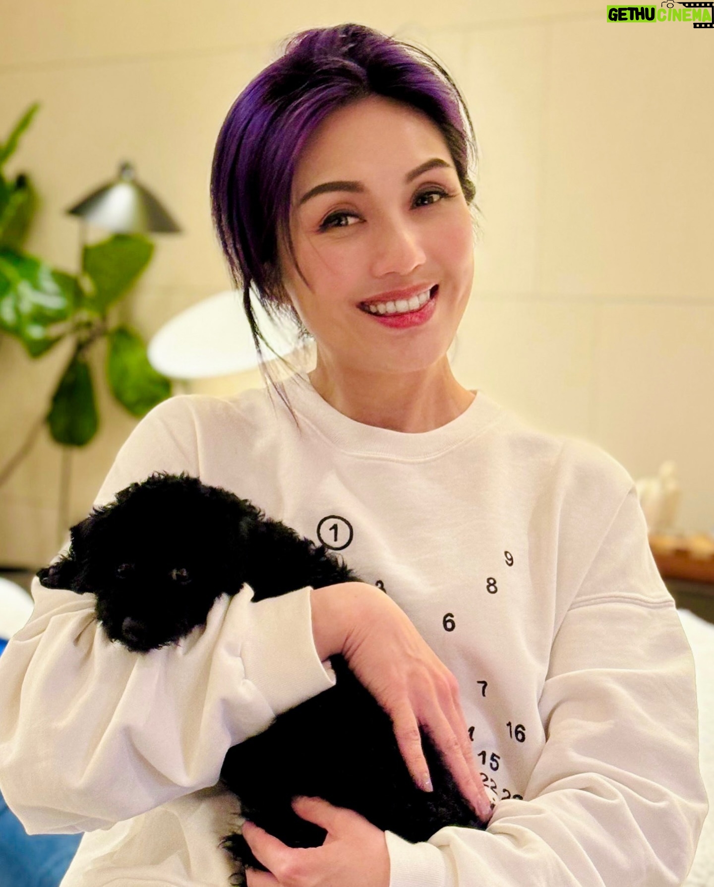 Actress Miriam Yeung Chin-Wah HD Instagram Photos and Wallpapers April 2024 | Gethu Cinema