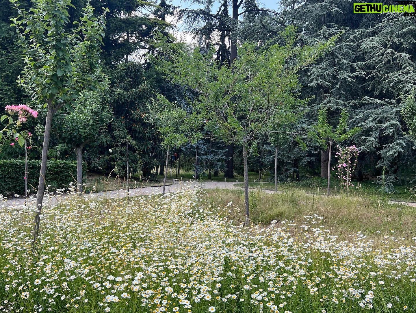 Molly Ringwald Instagram – What a magical place! Just outside of Paris ...