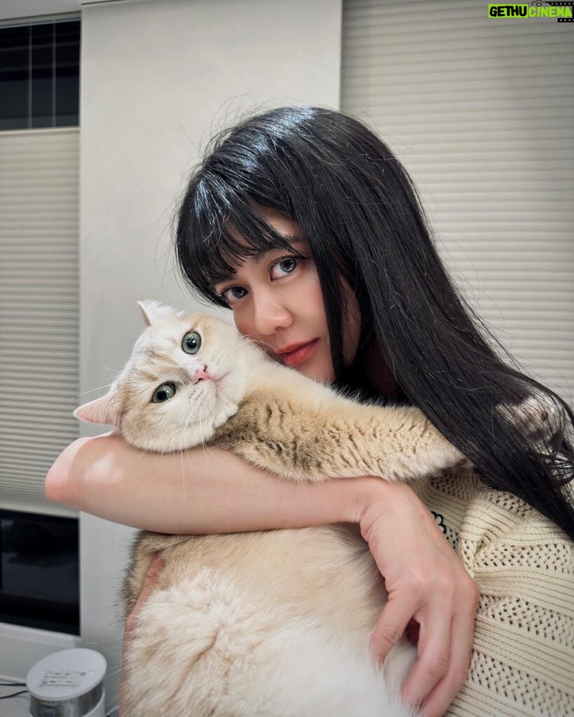 Actress Ping-Ya Tai HD Instagram Photos and Wallpapers May 2024 | Gethu ...