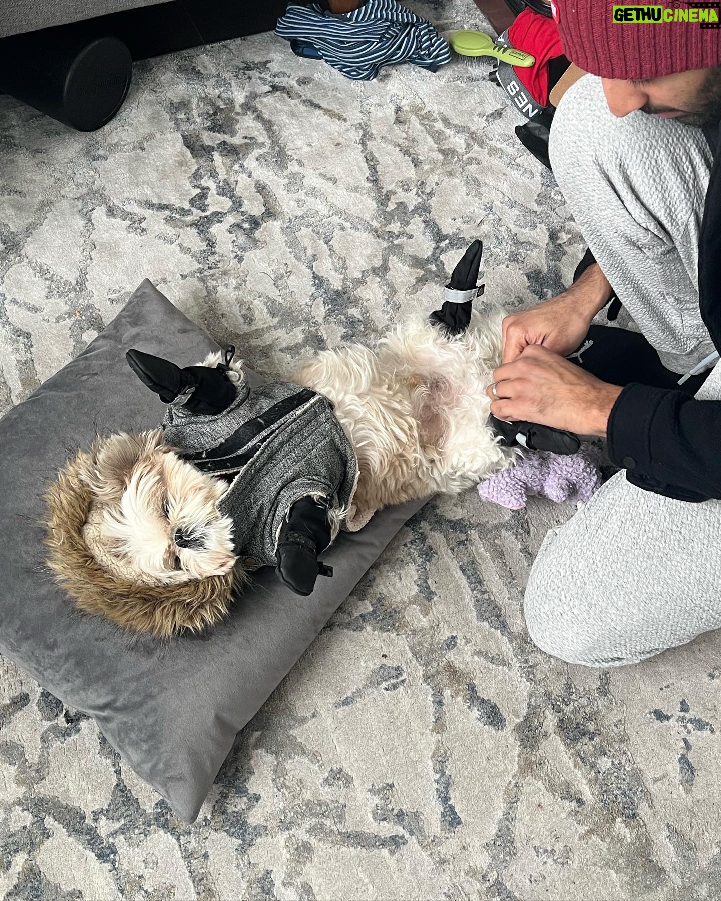 Actress Richa Shukla Moorjani HD Instagram Photos and Wallpapers ...