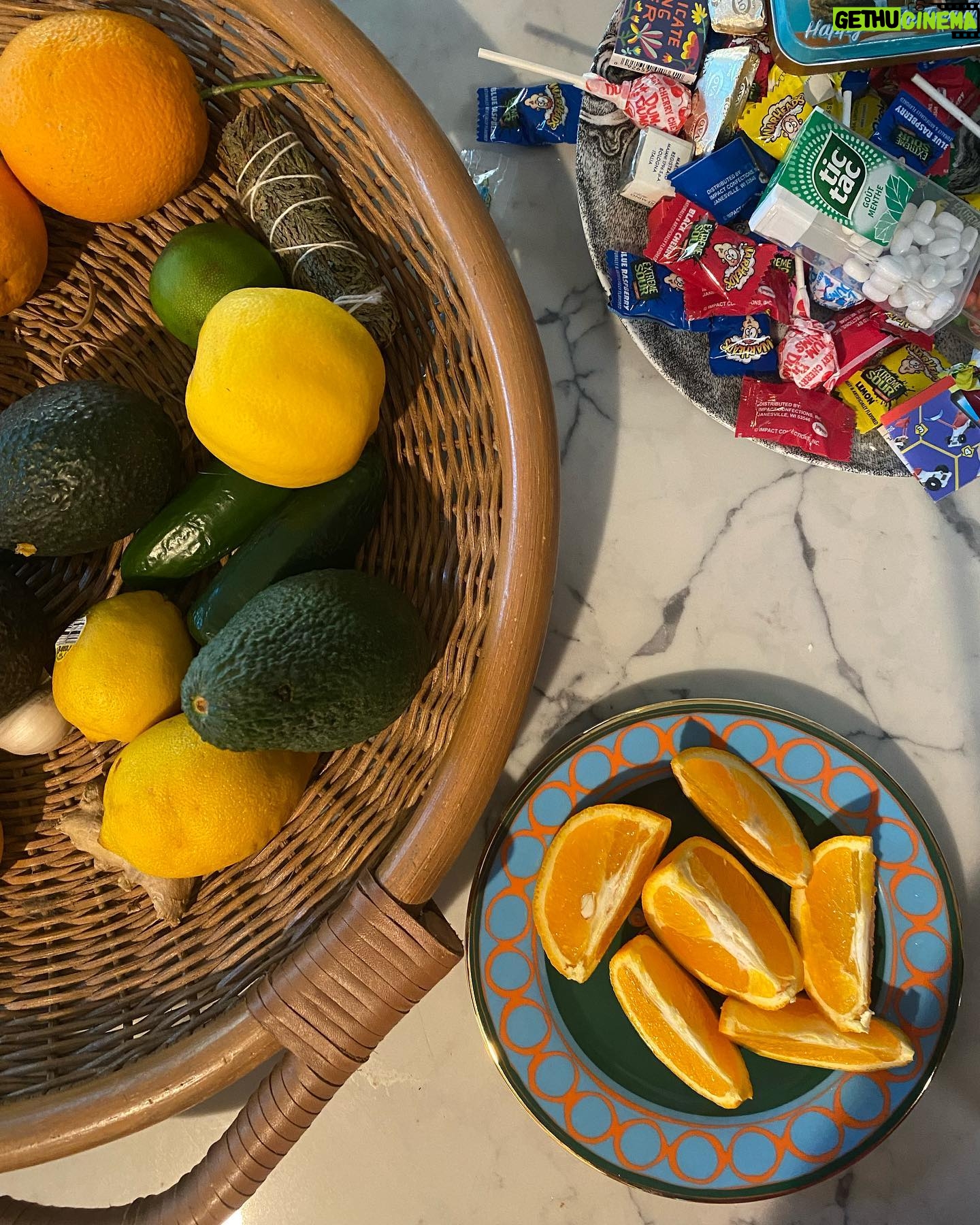 Samara Weaving Instagram – Sum things from around the house | Gethu Cinema