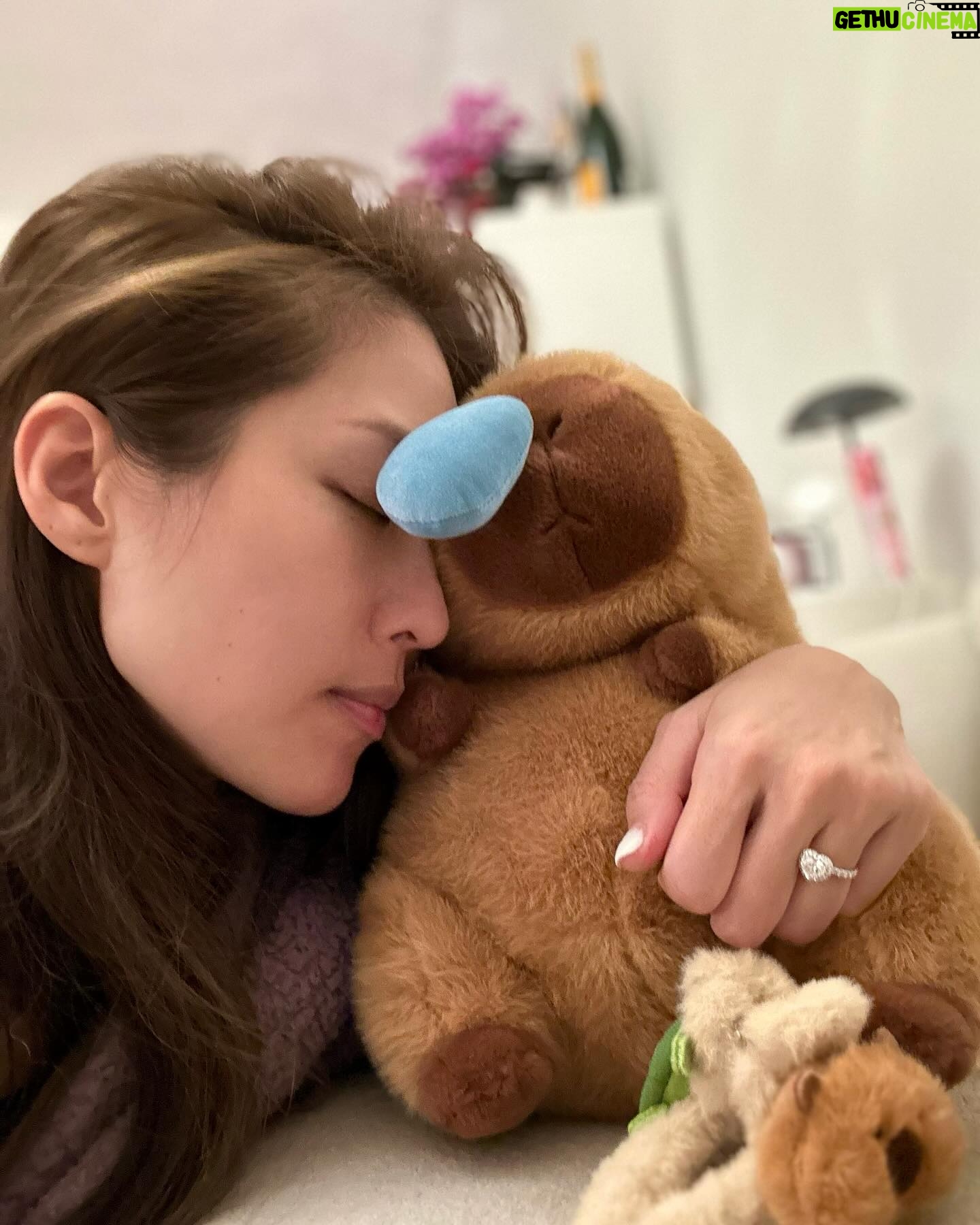 Actress Sharon Chan Man-Chi HD Instagram Photos and Wallpapers May 2024 ...