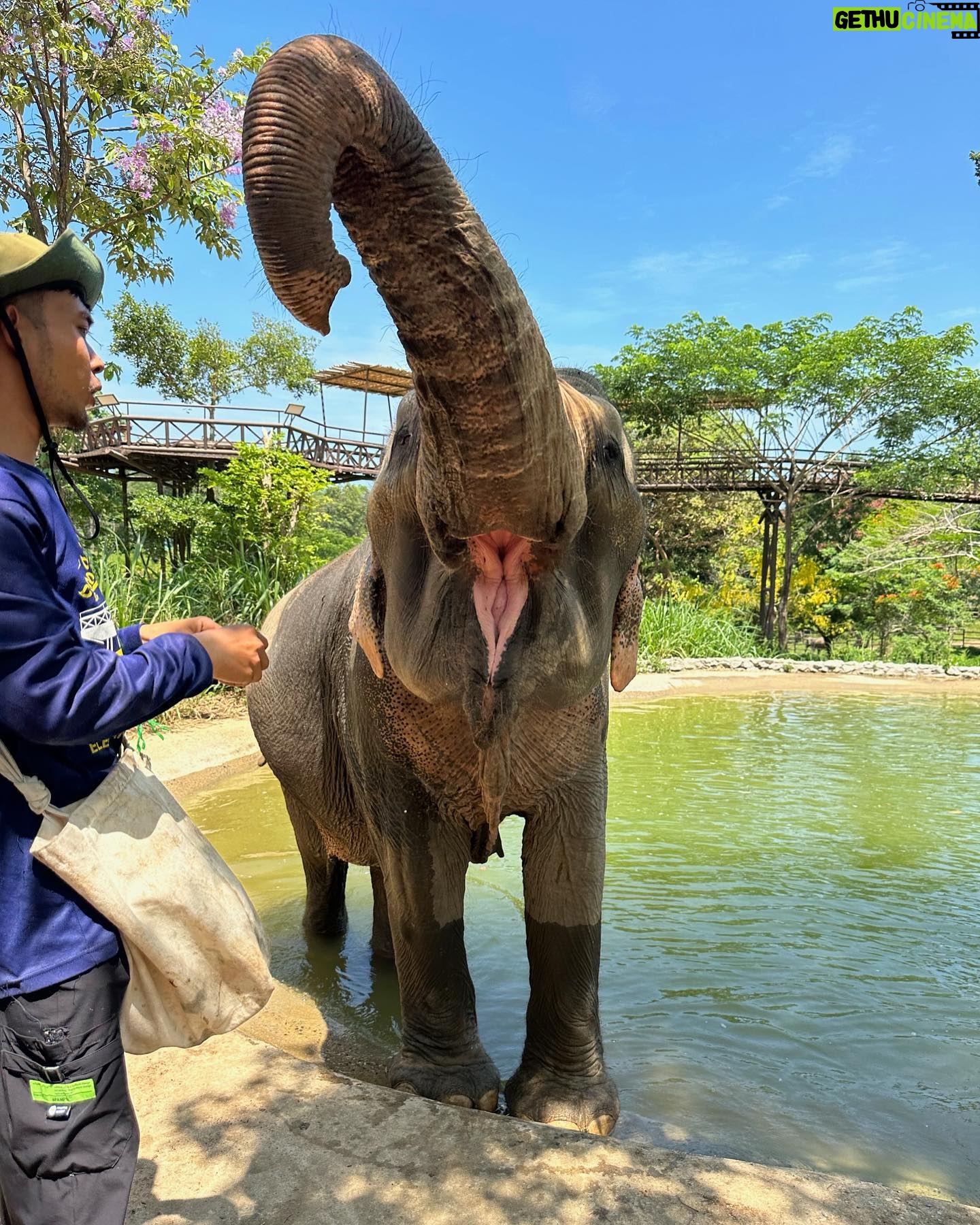 Actress Sophia Thomalla HD Instagram Photos and Wallpapers August 2023 ...