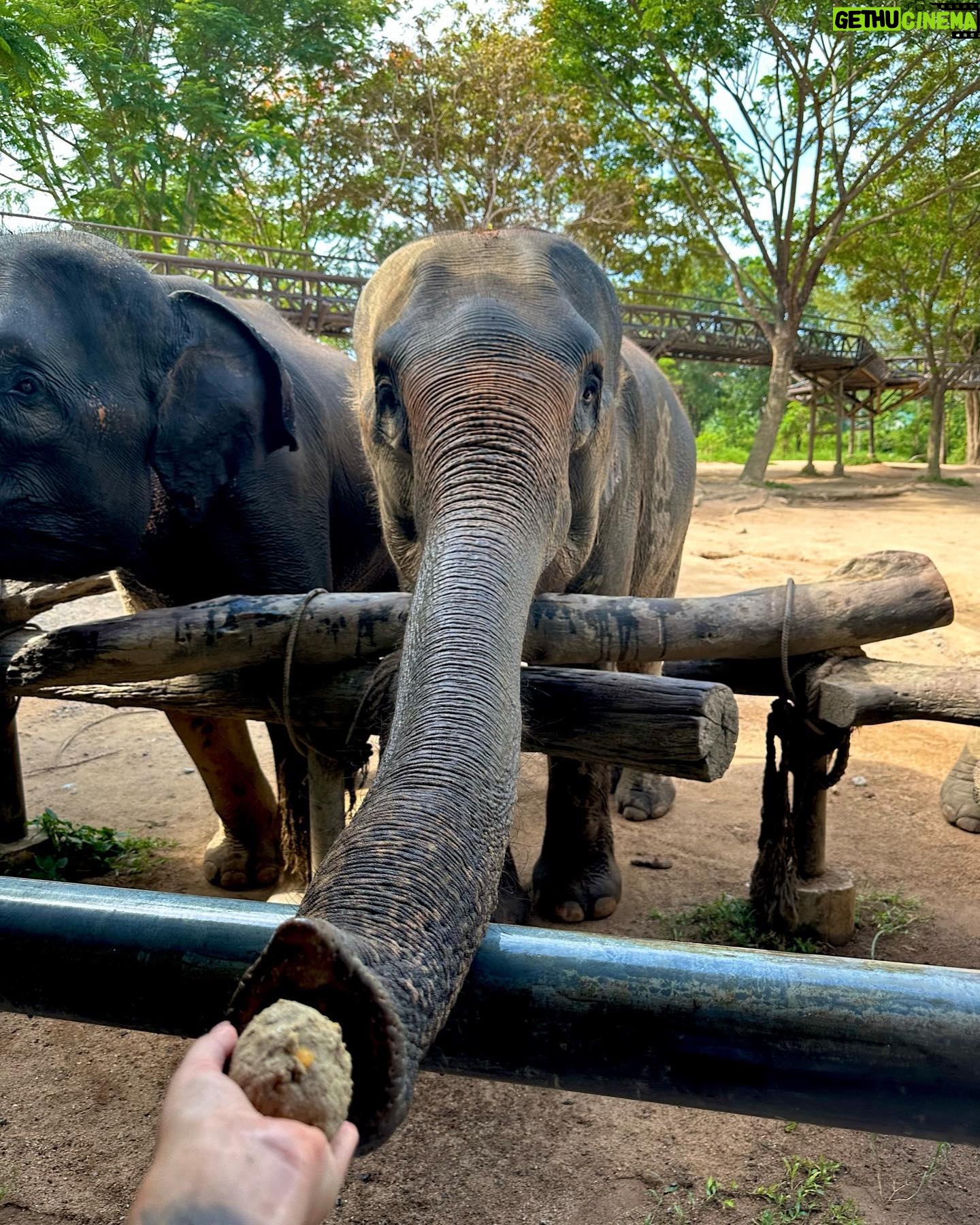 Actress Sophia Thomalla HD Instagram Photos and Wallpapers August 2023 ...