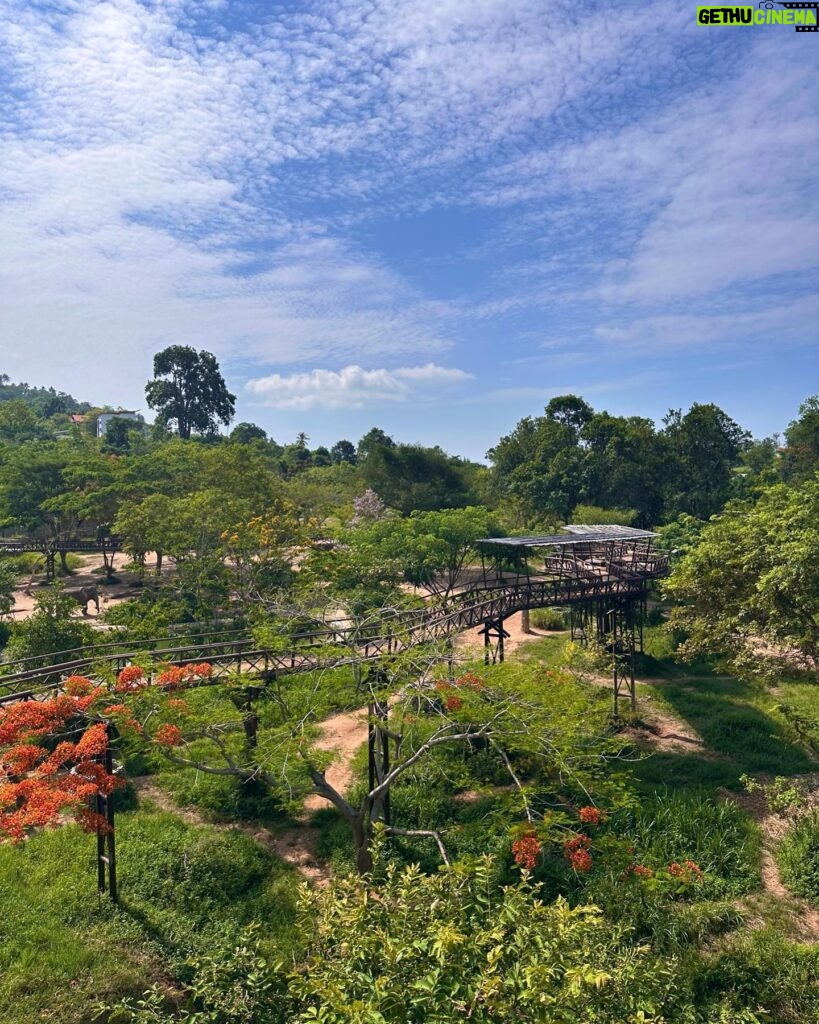 Actress Sophia Thomalla HD Instagram Photos and Wallpapers August 2023 ...