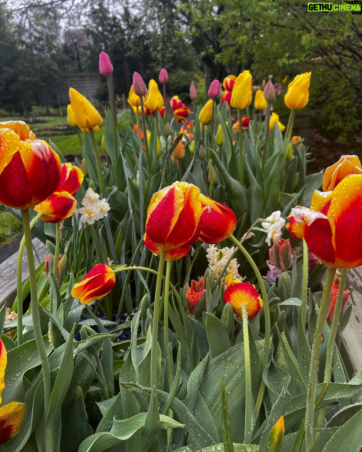 Susan Sarandon Instagram – The Brooklyn Botanic Garden rocks | Gethu Cinema