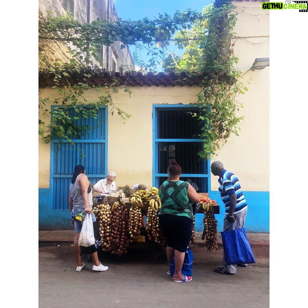 Susan Sarandon Instagram – | Gethu Cinema