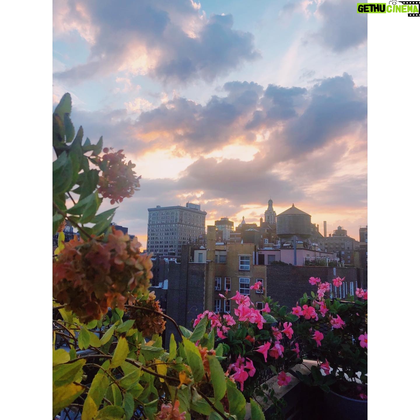 Susan Sarandon Instagram – Have a wonderful day. | Gethu Cinema