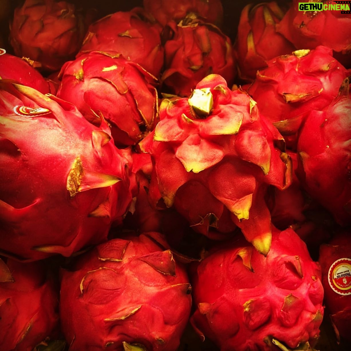 Susan Sarandon Instagram – | Gethu Cinema