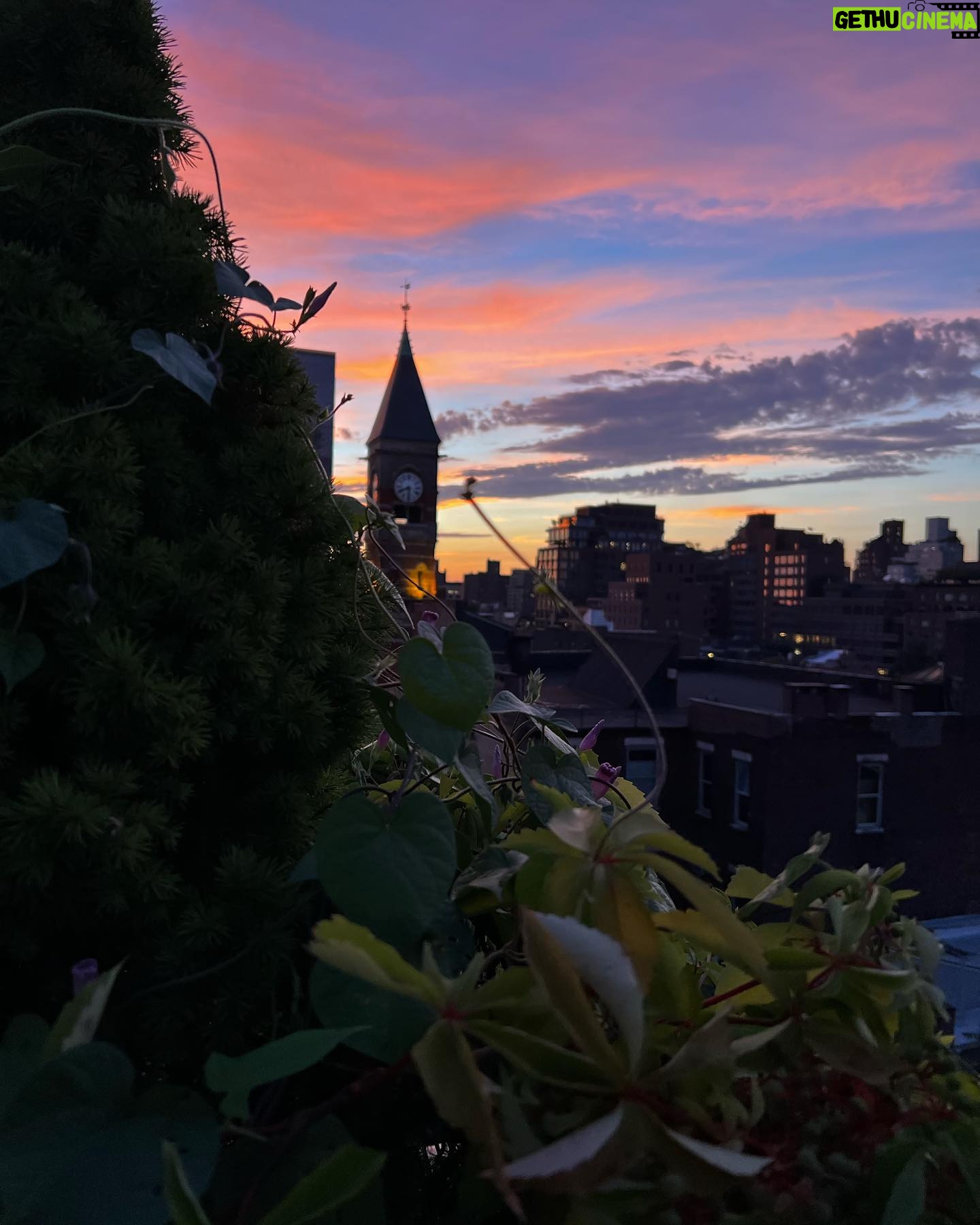 Susan Sarandon Instagram – Good Night | Gethu Cinema