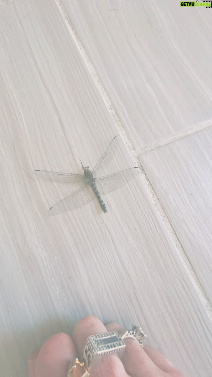 Actress Taryn Manning HD Instagram Photos and Wallpapers April 2024 ...