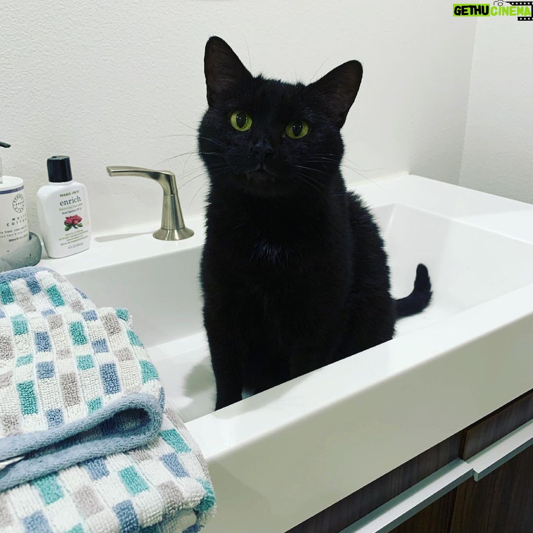 Taryn Manning Instagram – I don’t know where you went but I love you ...