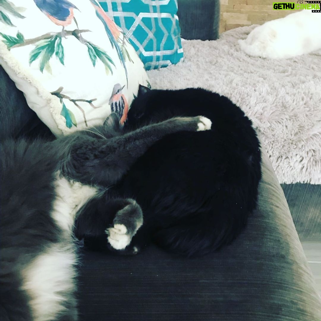 Taryn Manning Instagram – I don’t know where you went but I love you ...