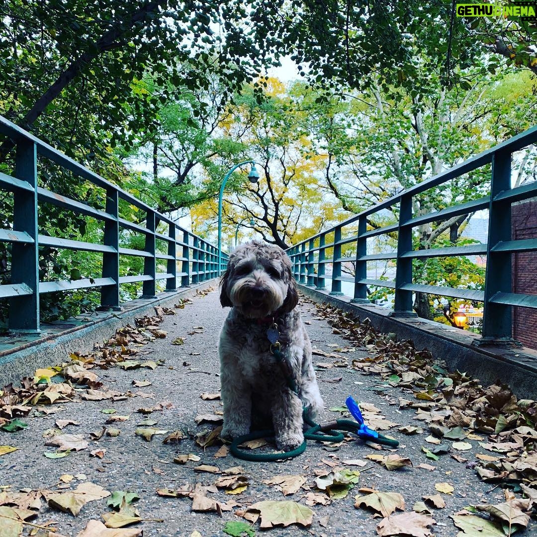 Uma Thurman Instagram – Stella | Gethu Cinema