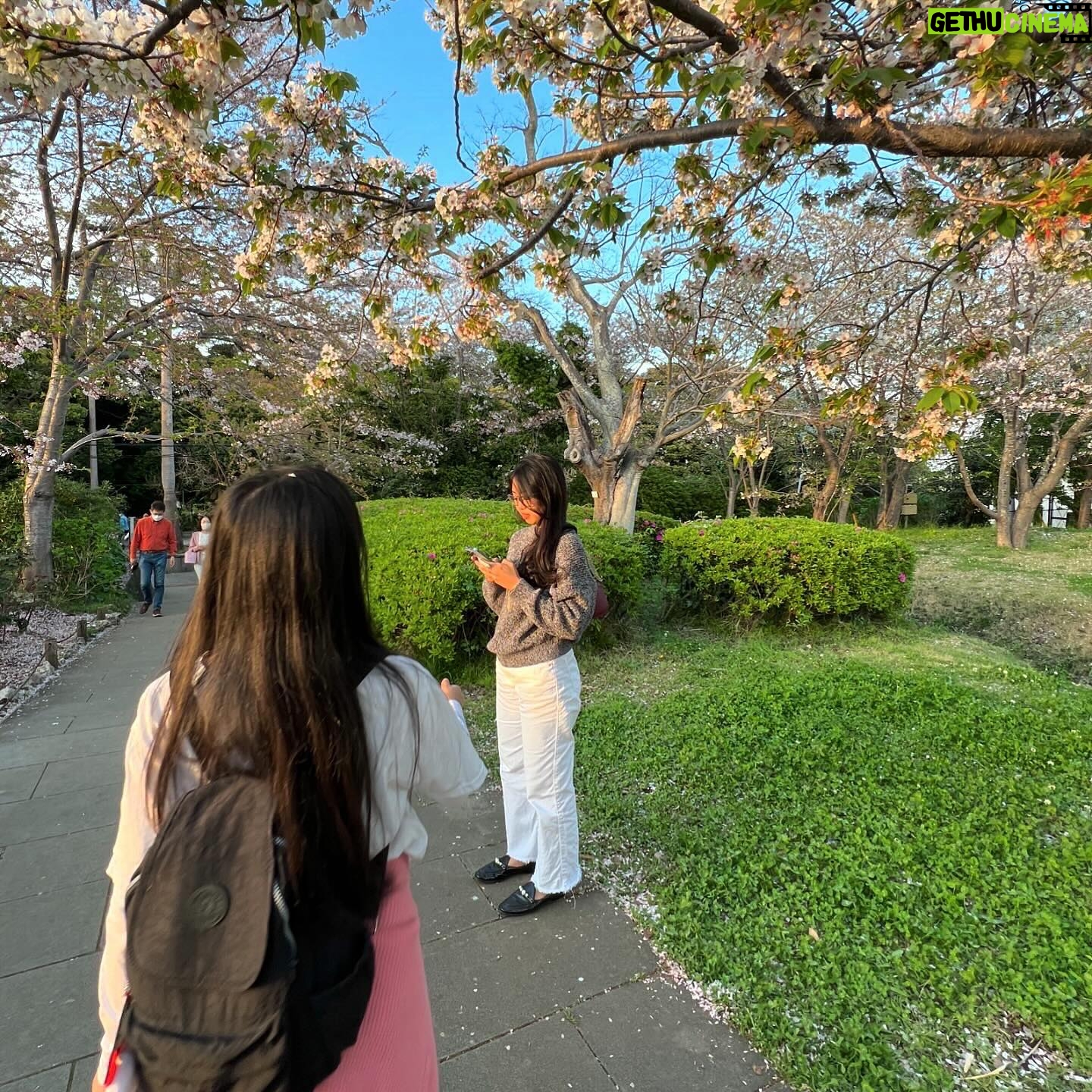 Yuki Kato Instagram – The beauty of Kamakura #diaryukikato | Gethu Cinema