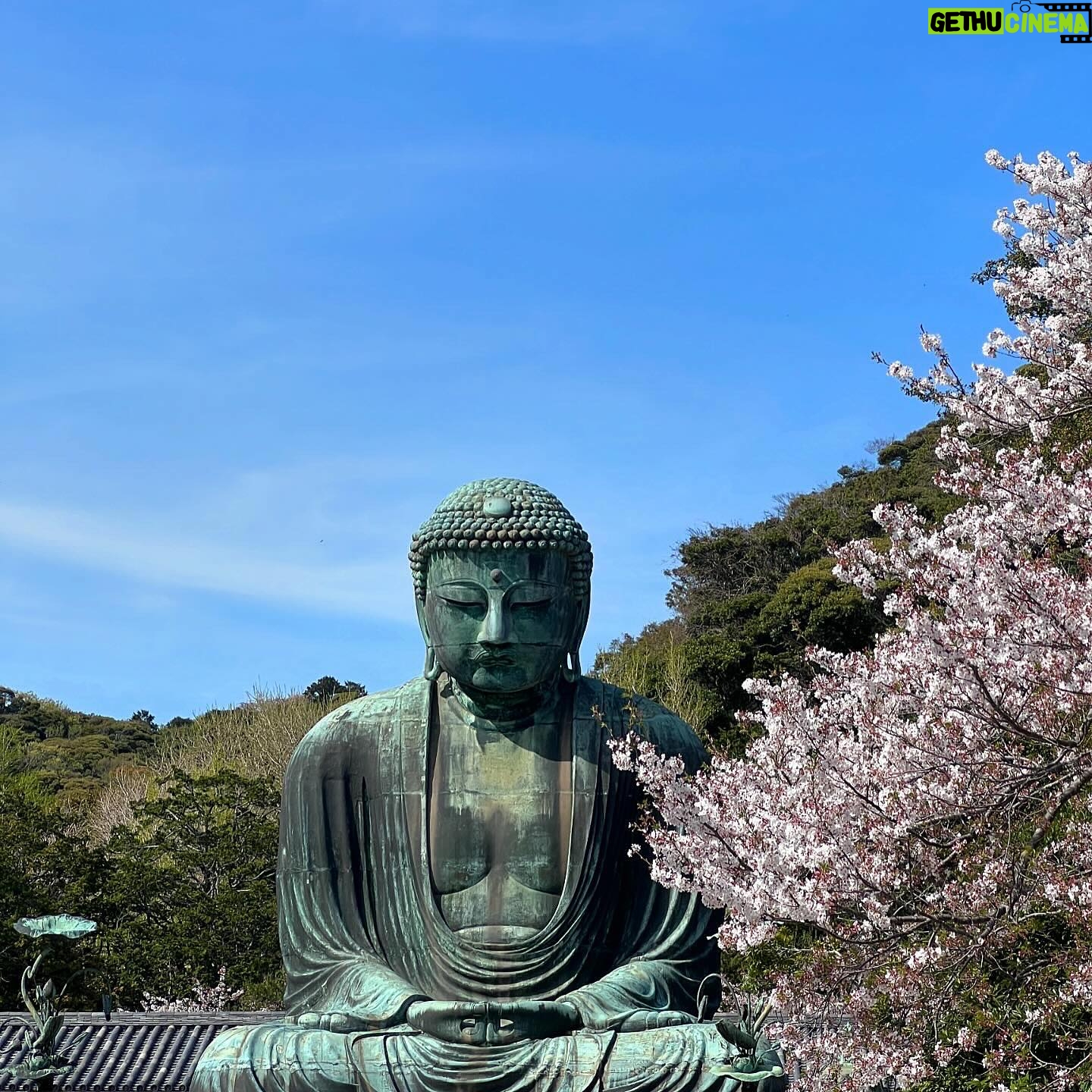 Yuki Kato Instagram – The beauty of Kamakura #diaryukikato | Gethu Cinema
