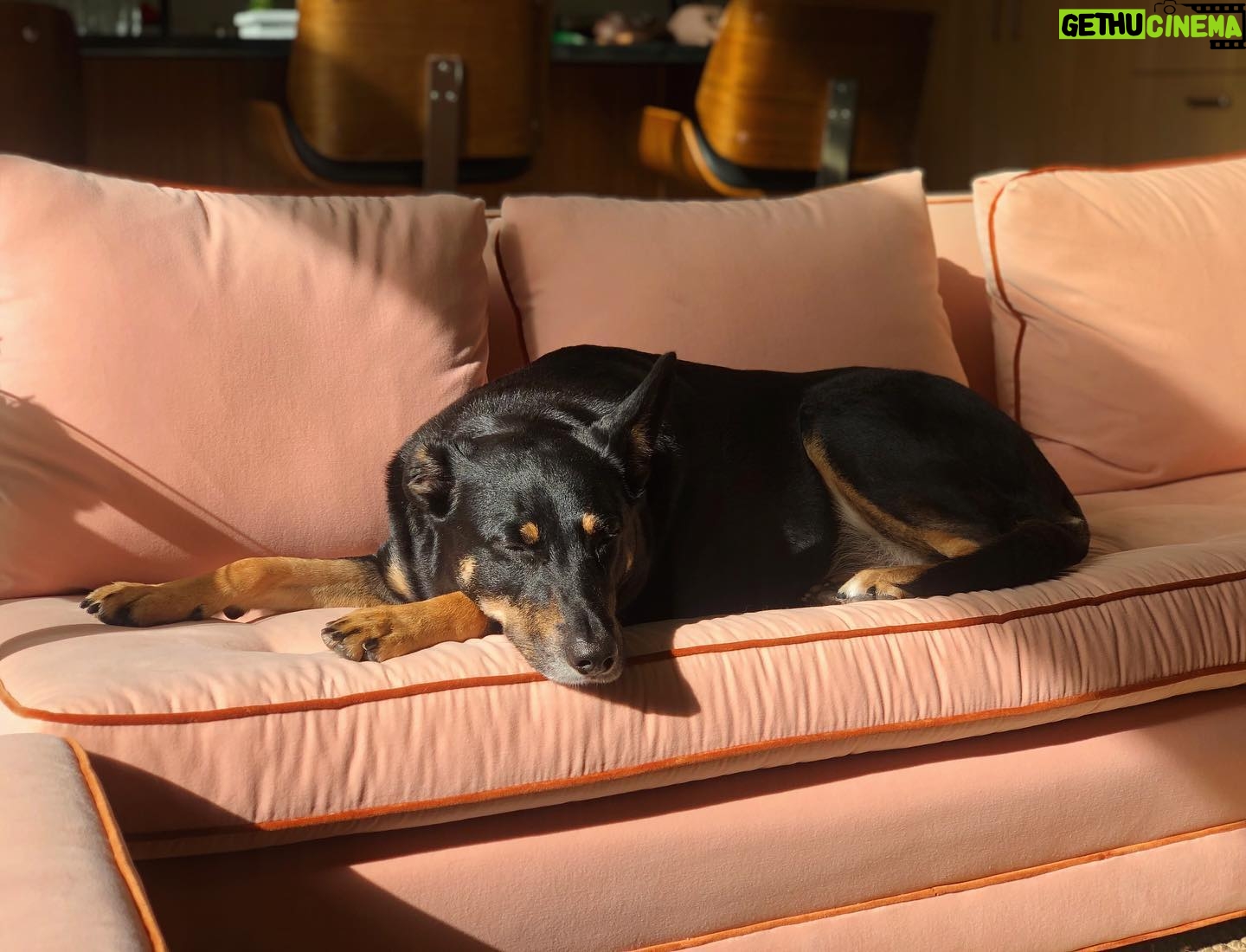 Abbie Cornish Instagram – India. | Gethu Cinema