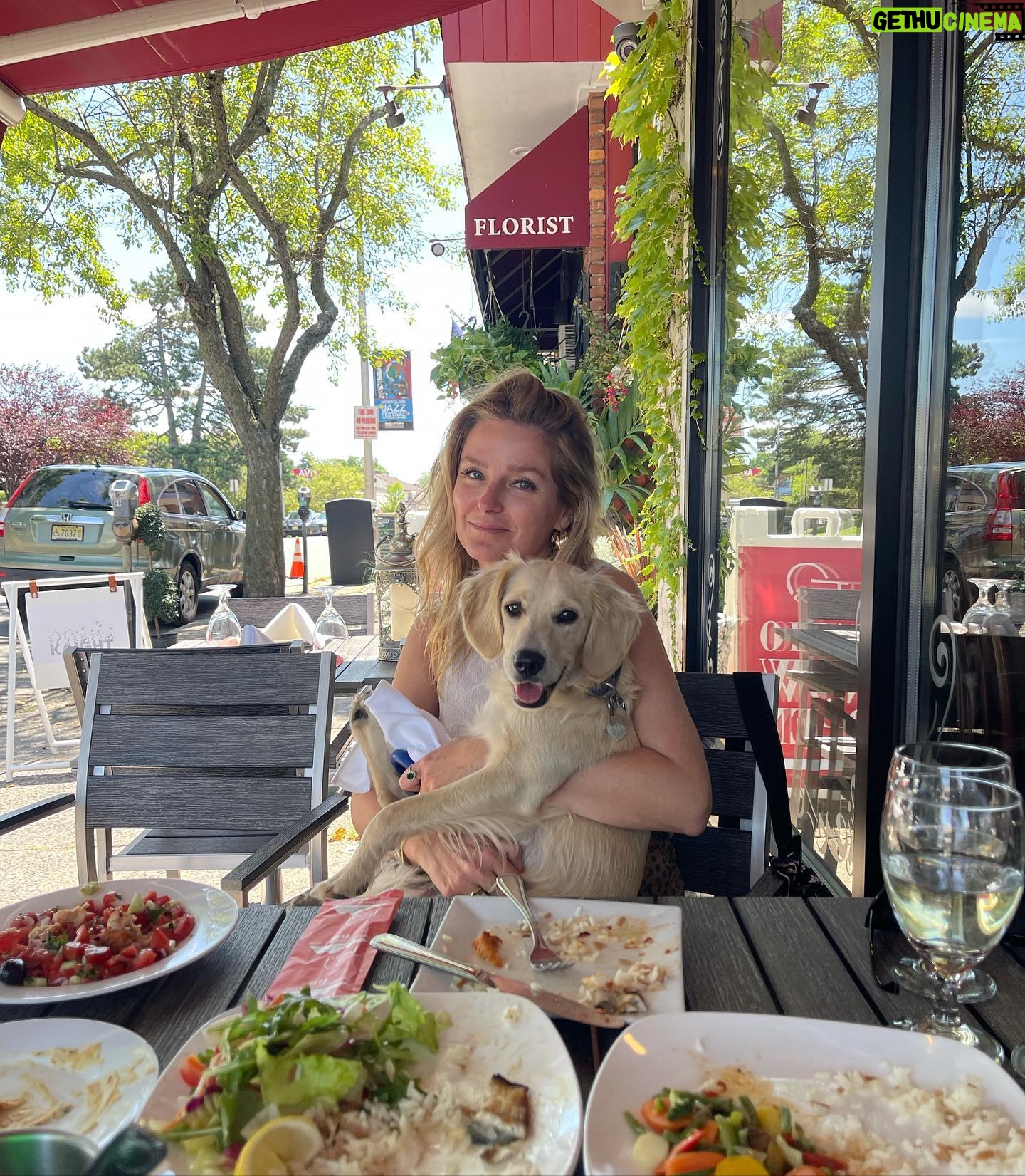 Abby Elliott | Gethu Cinema