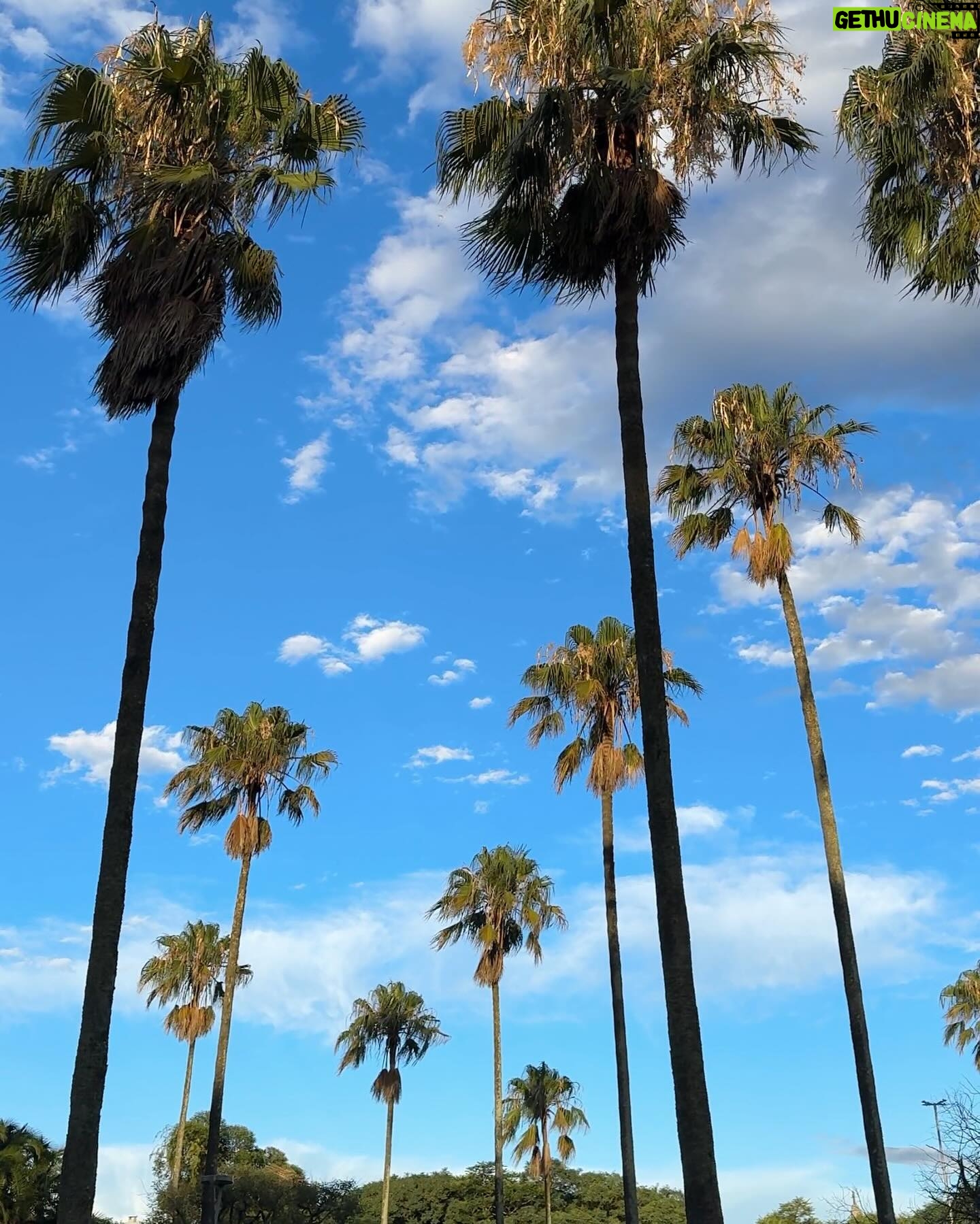 Alexandra Stréliski | Gethu Cinema