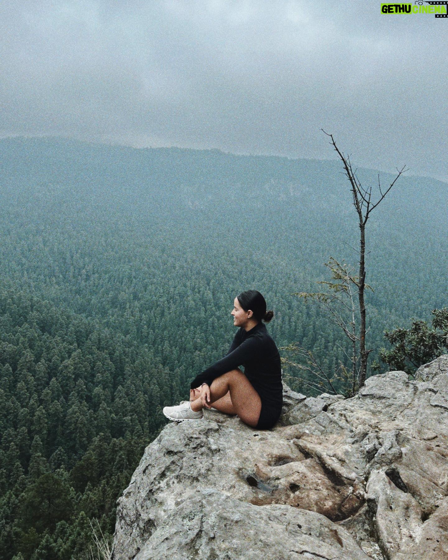 Alicia Jaziz Zapién Wiki, Biography, Age, Gallery, Spouse and more