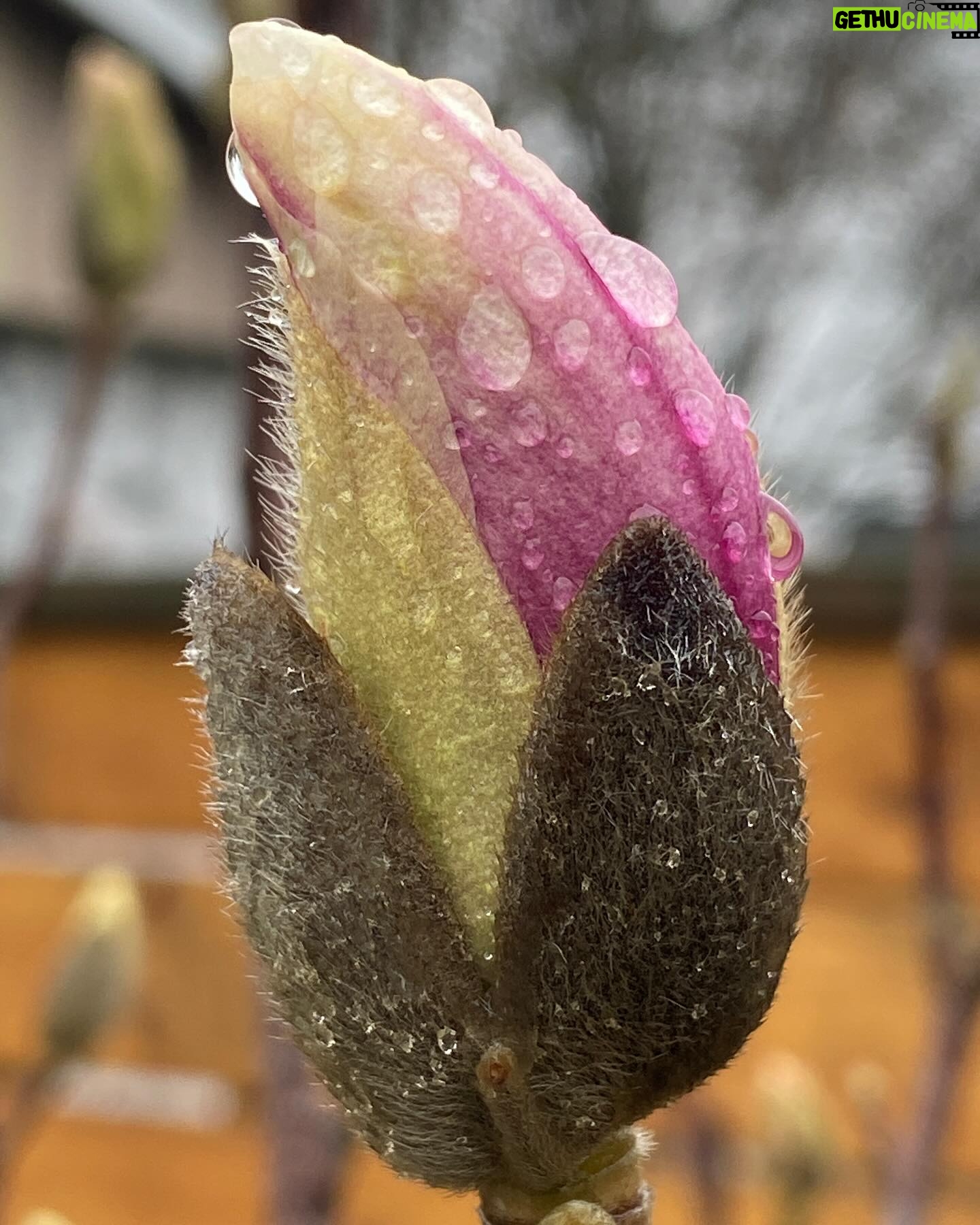 Amy Jo Johnson Instagram – It’s coming… | Gethu Cinema