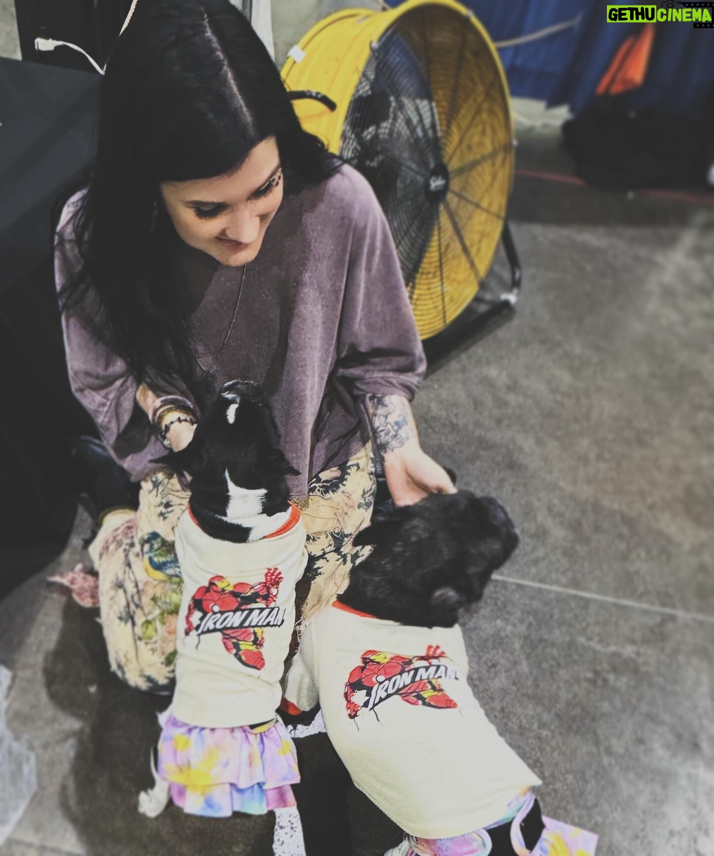 Actress Arryn Zech HD Photos and Wallpapers June 2024 | Gethu Cinema
