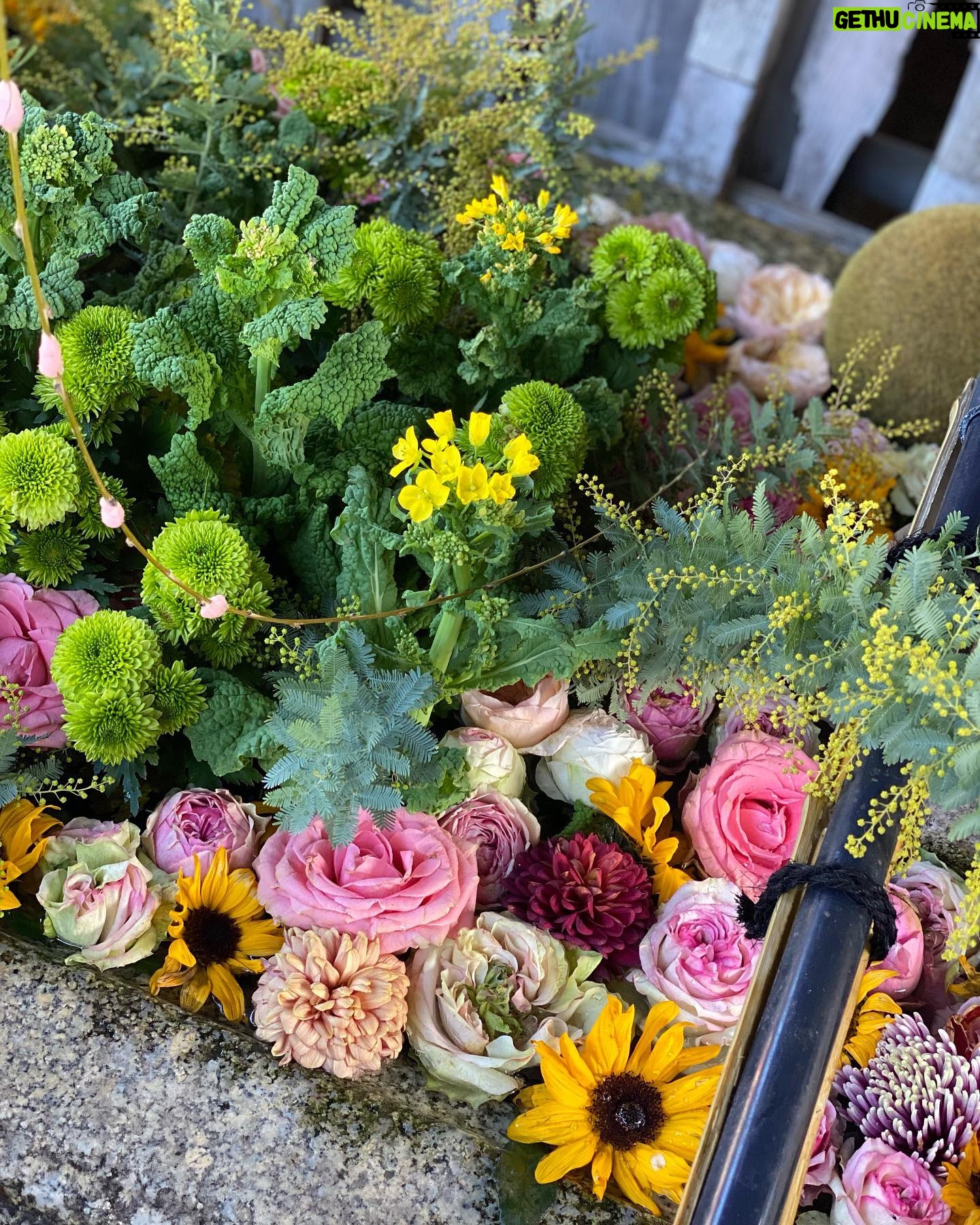 Asami Seto | Gethu Cinema