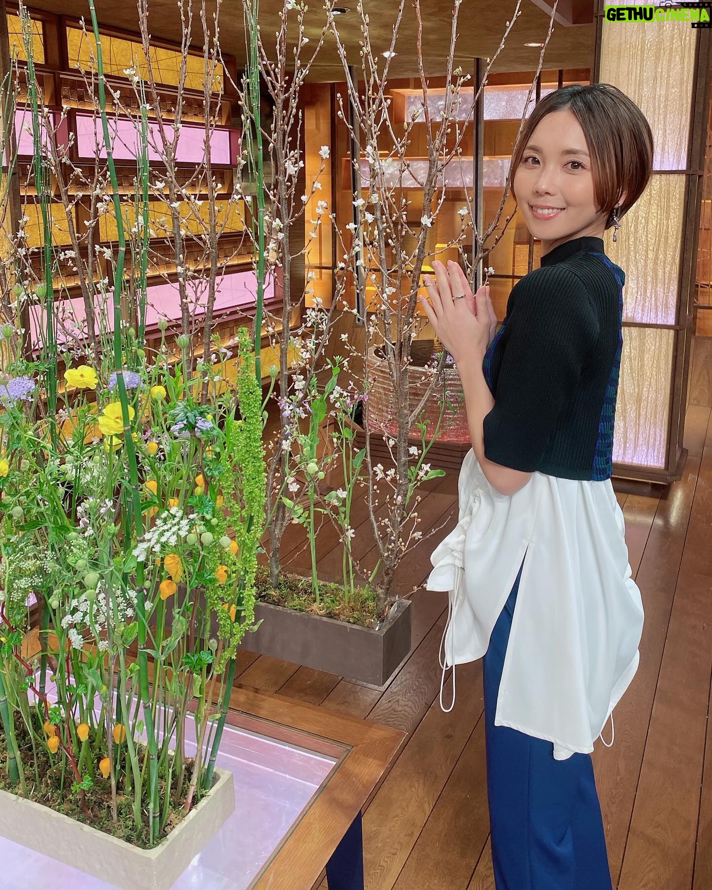 Ayumi Hirodo Instagram – #ヒロドのふく。 衣装情報をストーリーではなく投稿に残してほしいという声を半年前からいただき、半年かけて思い出して半年分をランダムに投稿します ...