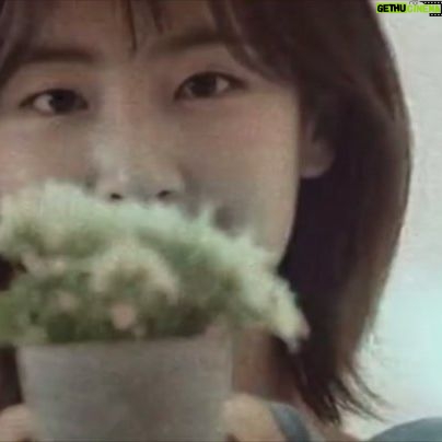 Bae Da-bin | Gethu Cinema