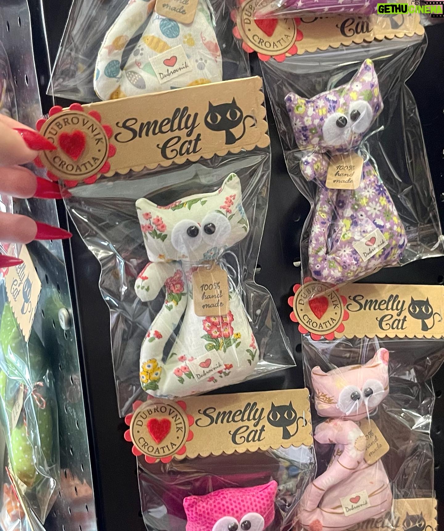 Bella Shepard Instagram – brov it up! | Gethu Cinema