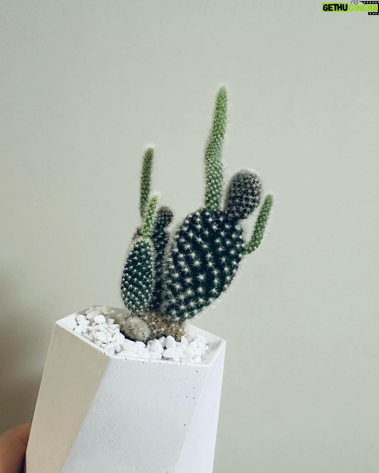 Actress Candy Yang HD Photos and Wallpapers May 2024 | Gethu Cinema