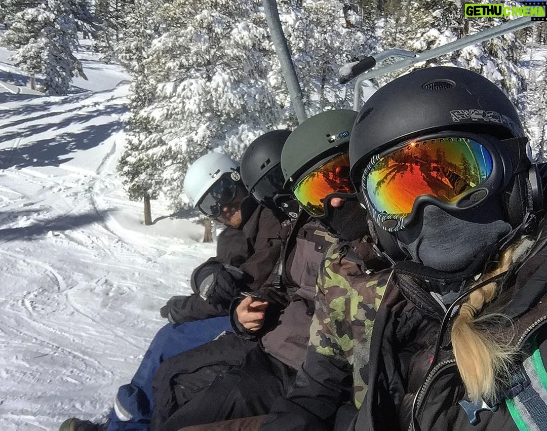 Carly Schroeder | Gethu Cinema