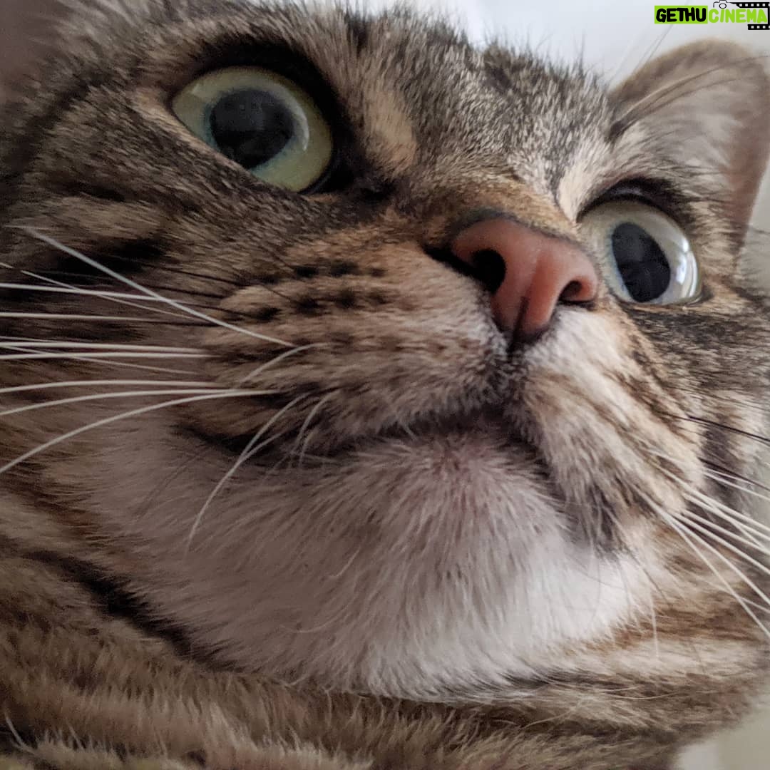 Chelsea Rebecca | Gethu Cinema