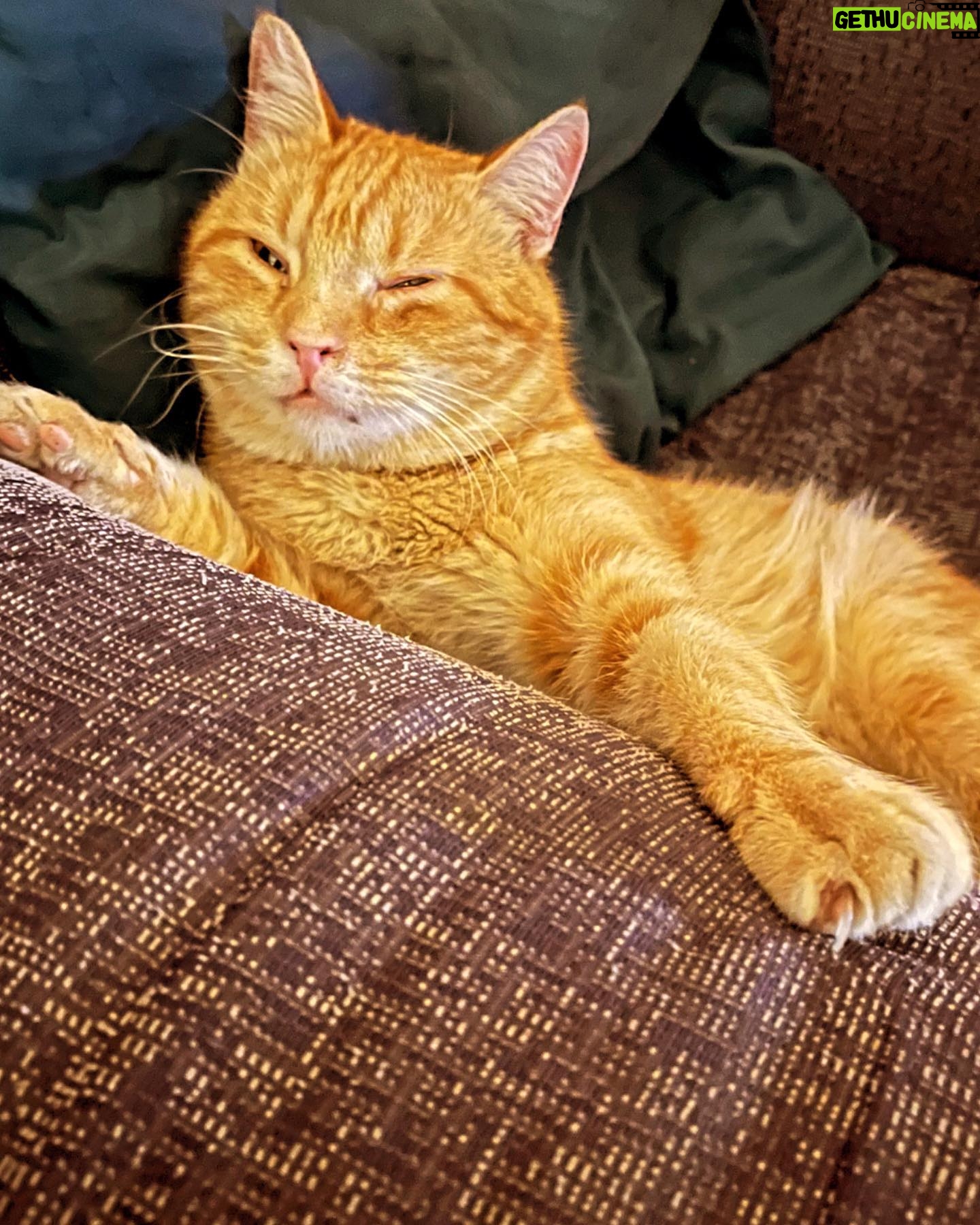 Chelsea Sheets | Gethu Cinema