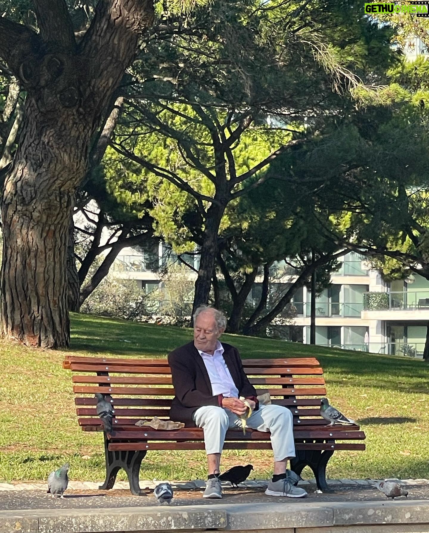 Chelsea Sheets | Gethu Cinema