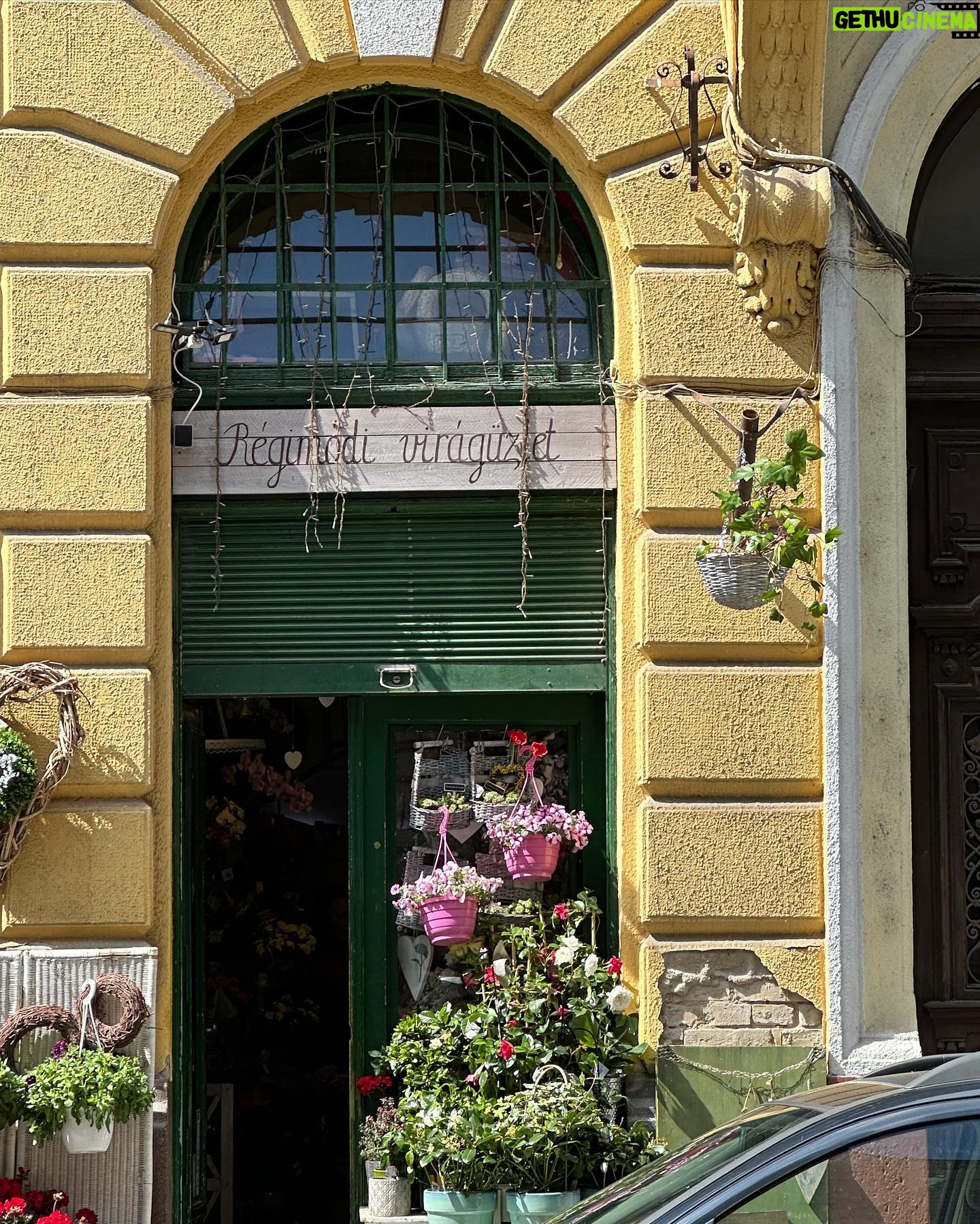 Ciara Riley Wilson Instagram – 2 and a half weeks in budapest and i ...