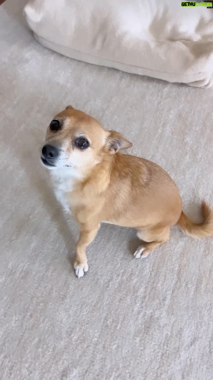 Cindy Busby | Gethu Cinema