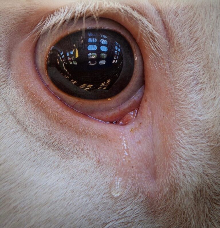 The Most Loved Instagram Photos of Daniela Escobar: Top 10