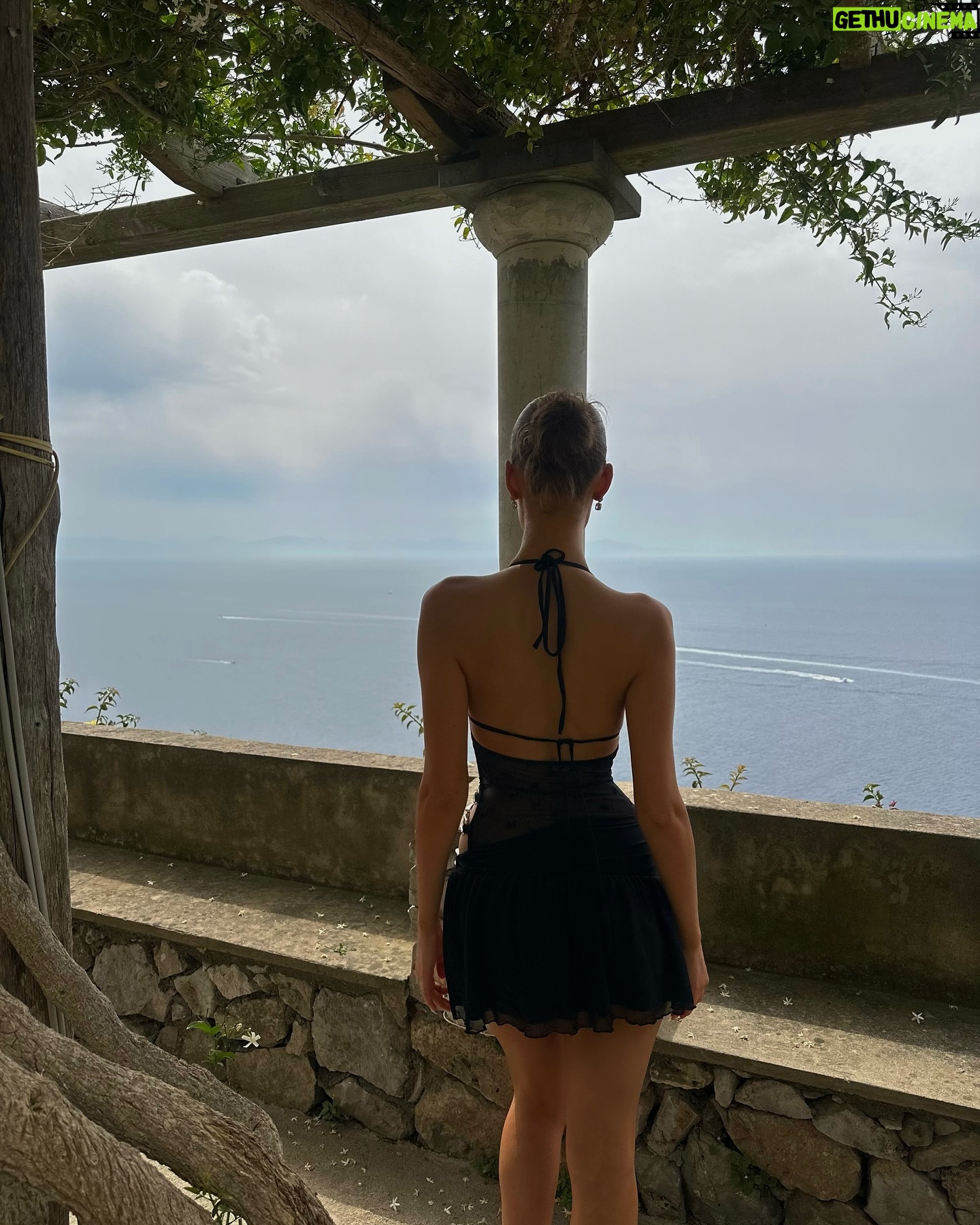 Darcy Williams | Gethu Cinema