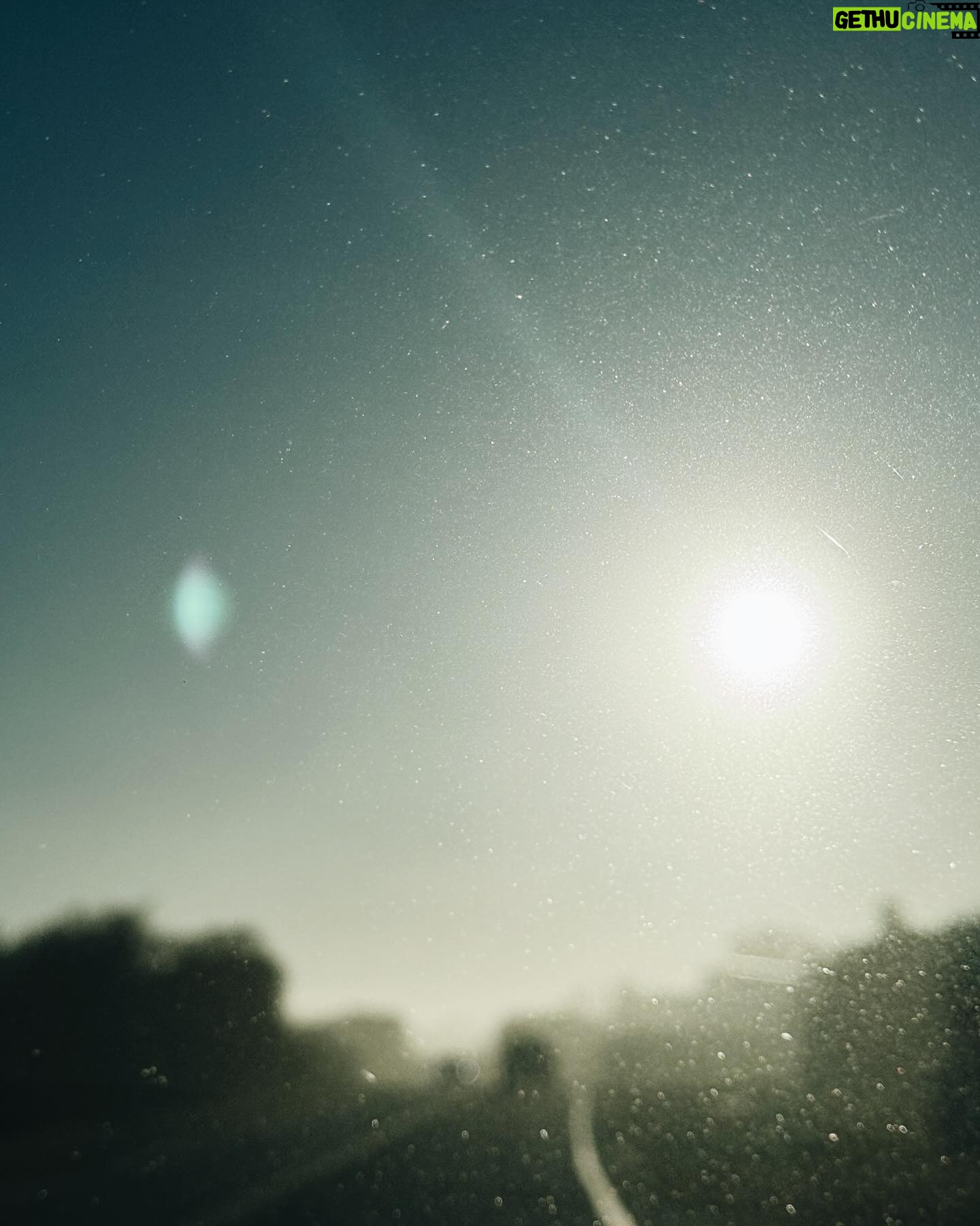 Emily Wickersham Instagram – Mtk Hazy Baby | Gethu Cinema