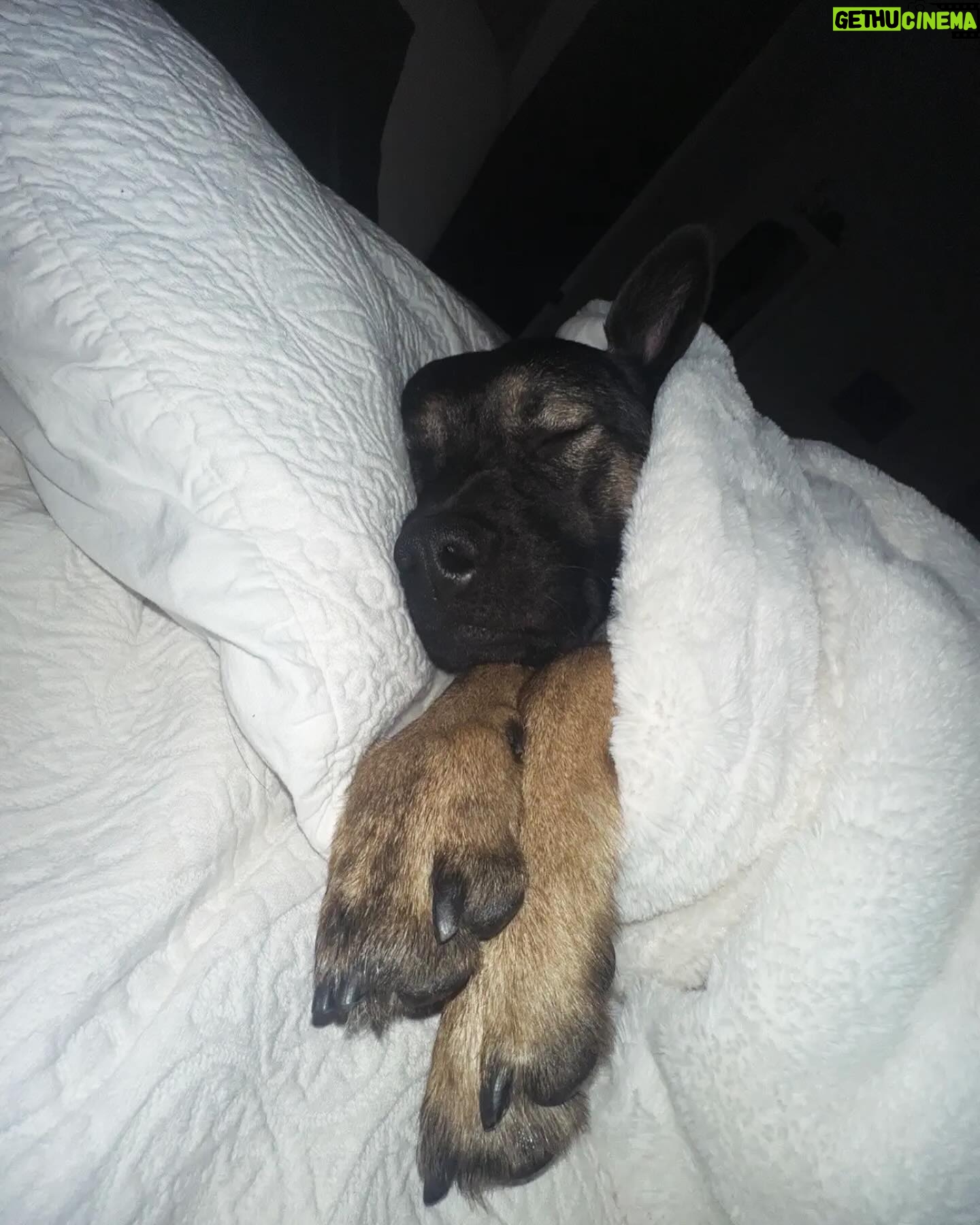 Eva Ariel Binder | Gethu Cinema