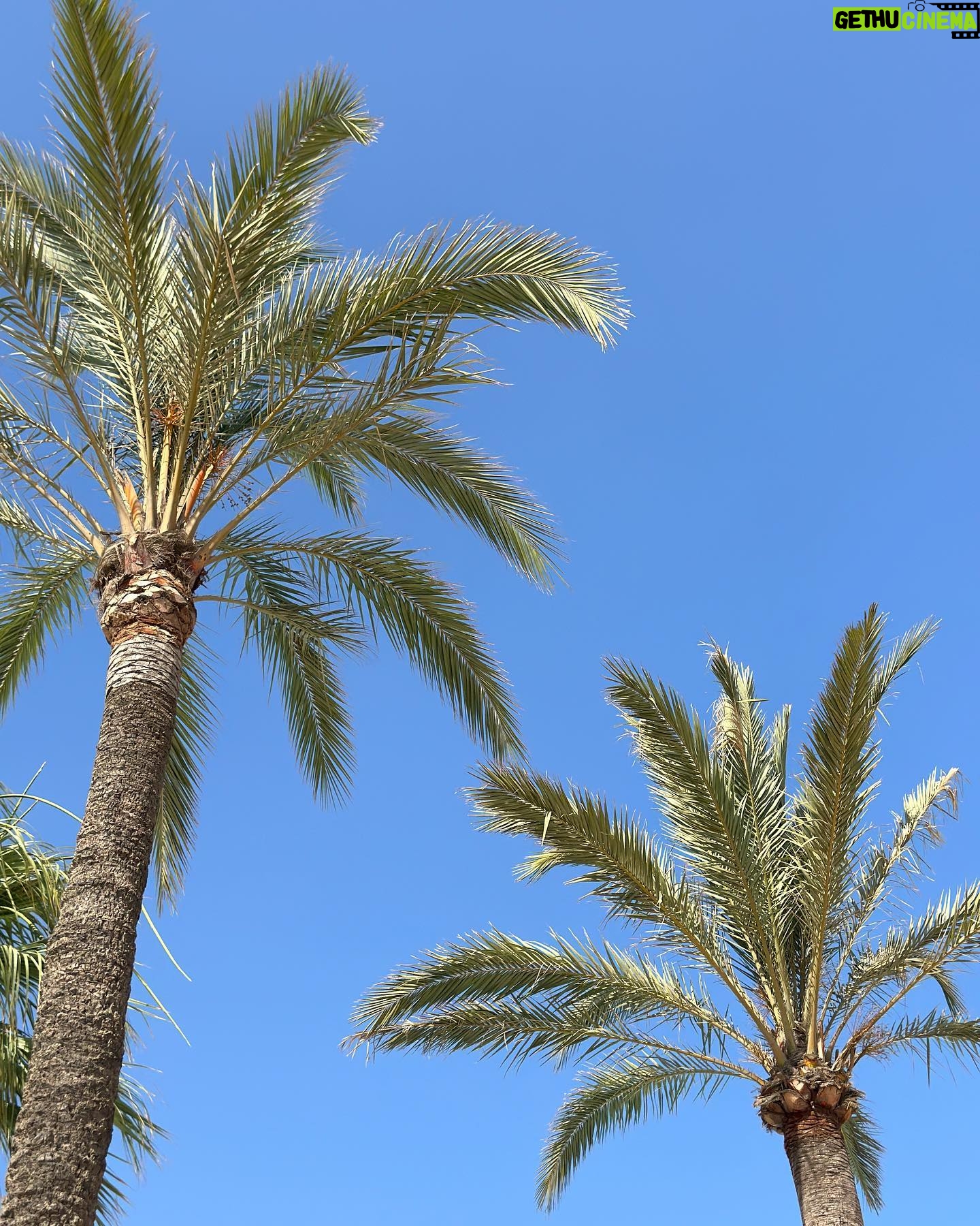 Fanny Rodrigues Wiki, Biography, Age, Gallery, Spouse and more