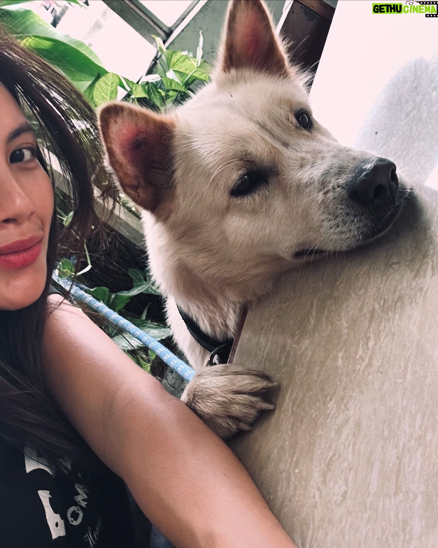 Actress Girindra Kara HD Instagram Photos and Wallpapers June 2024 ...