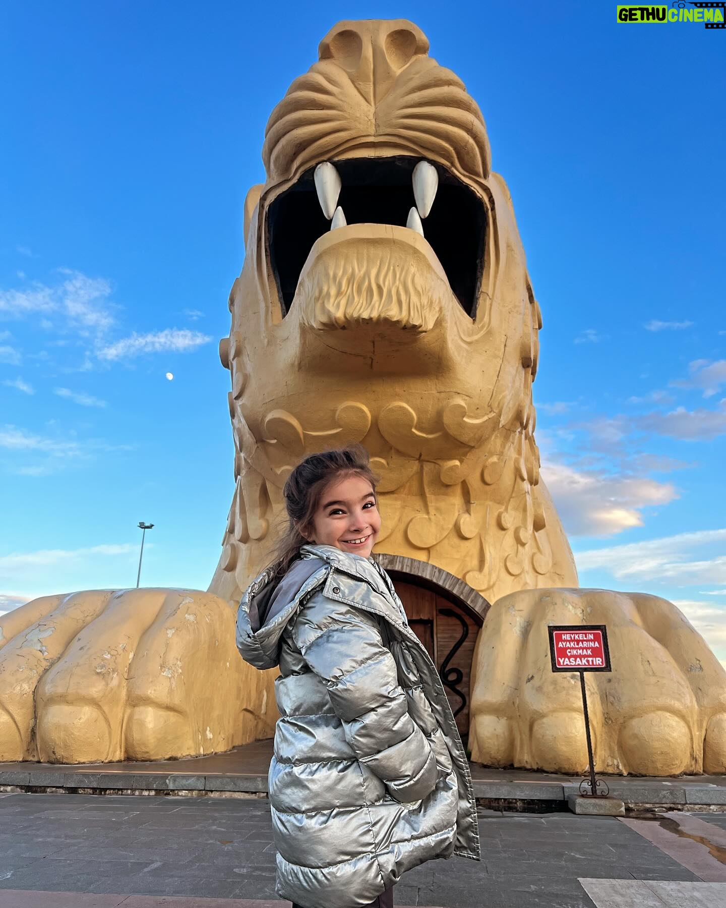 Hale Caneroğlu | Gethu Cinema